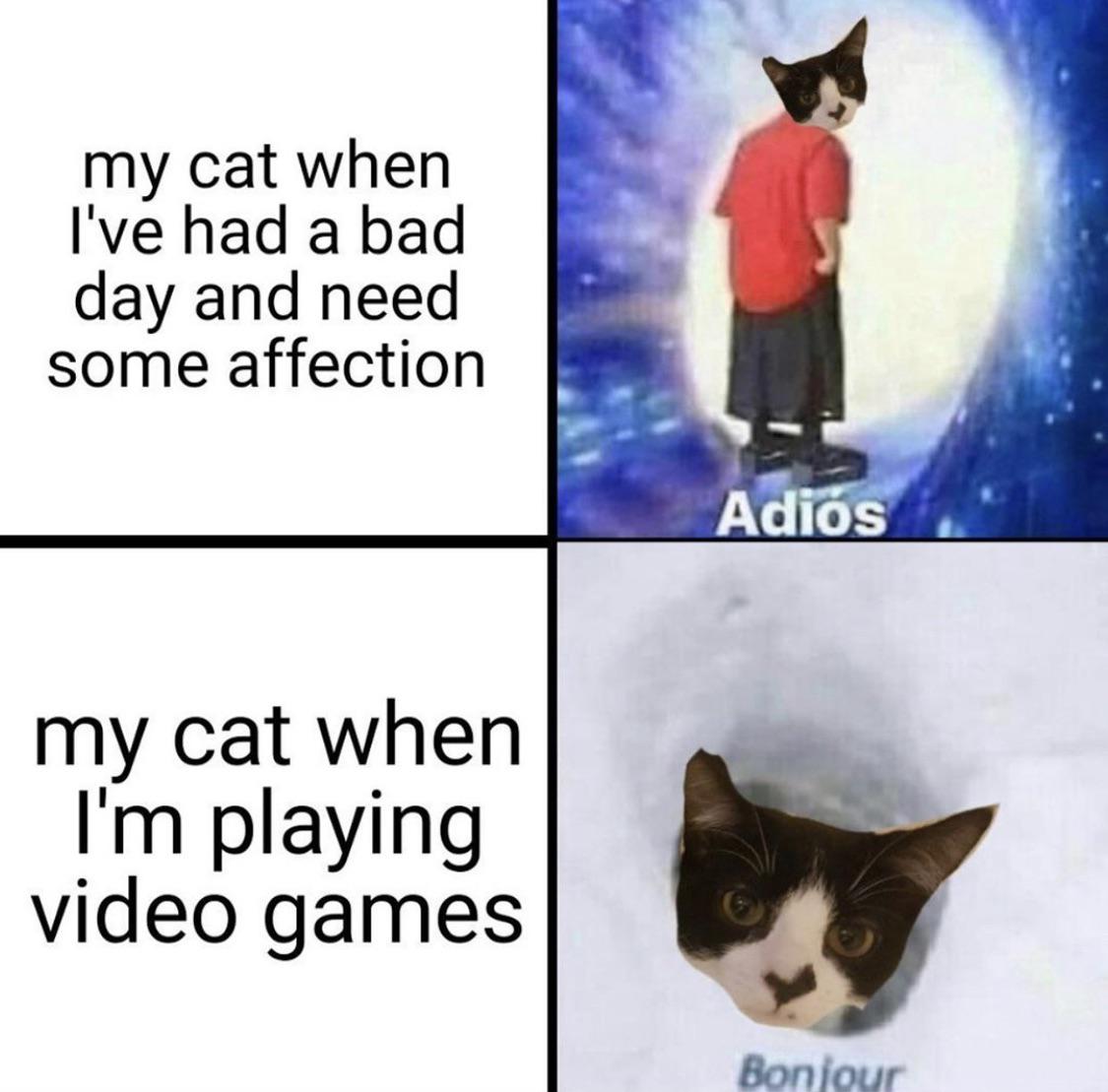 Happens every time | Scrolller