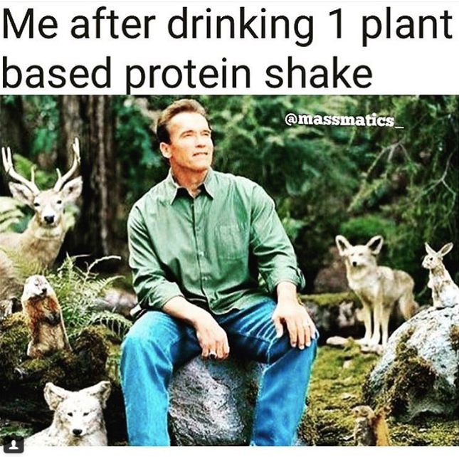 Happily making gains with plant based protein shakes | Scrolller