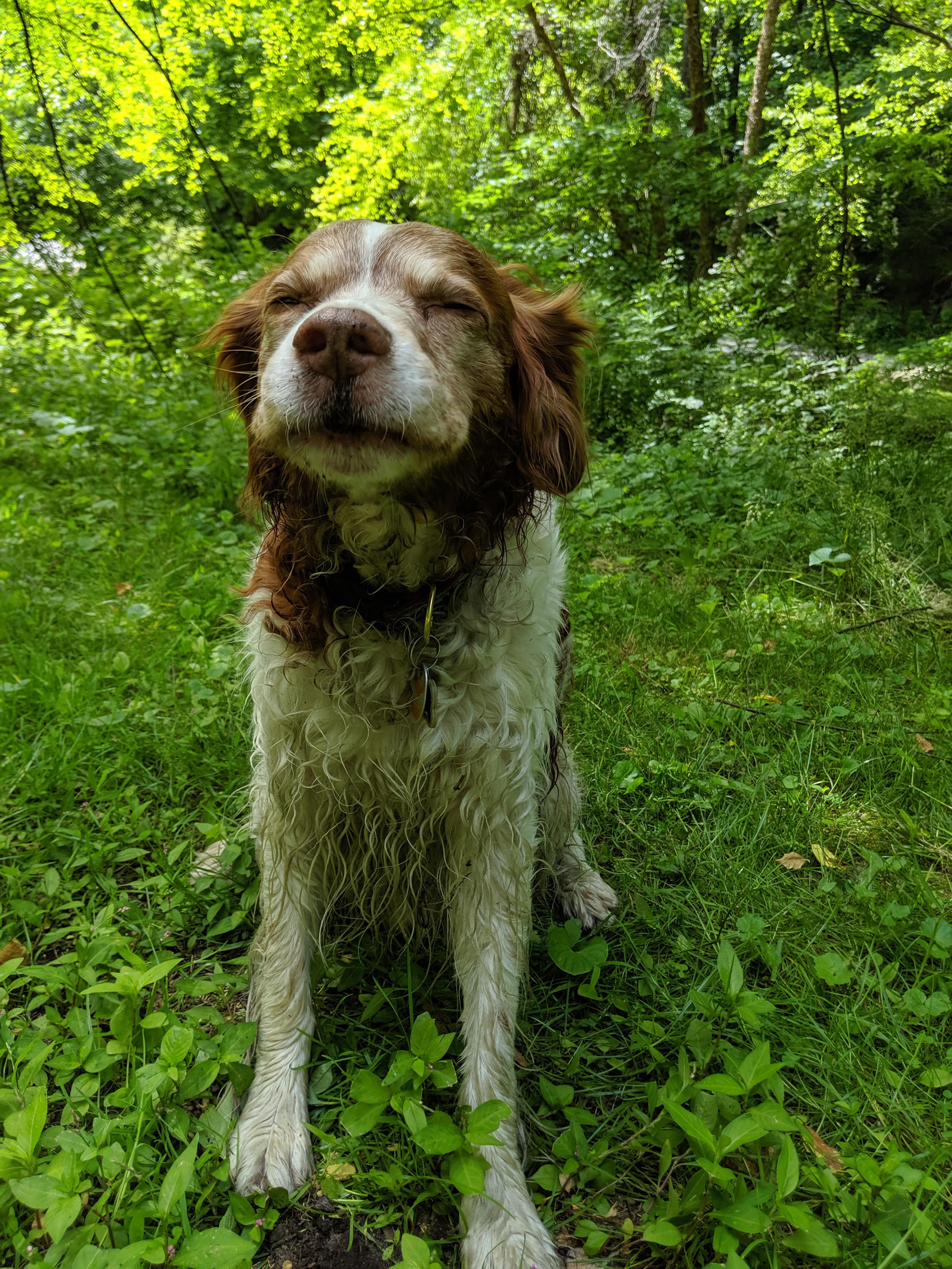 Happy 11th birthday to my muddy buddy! | Scrolller