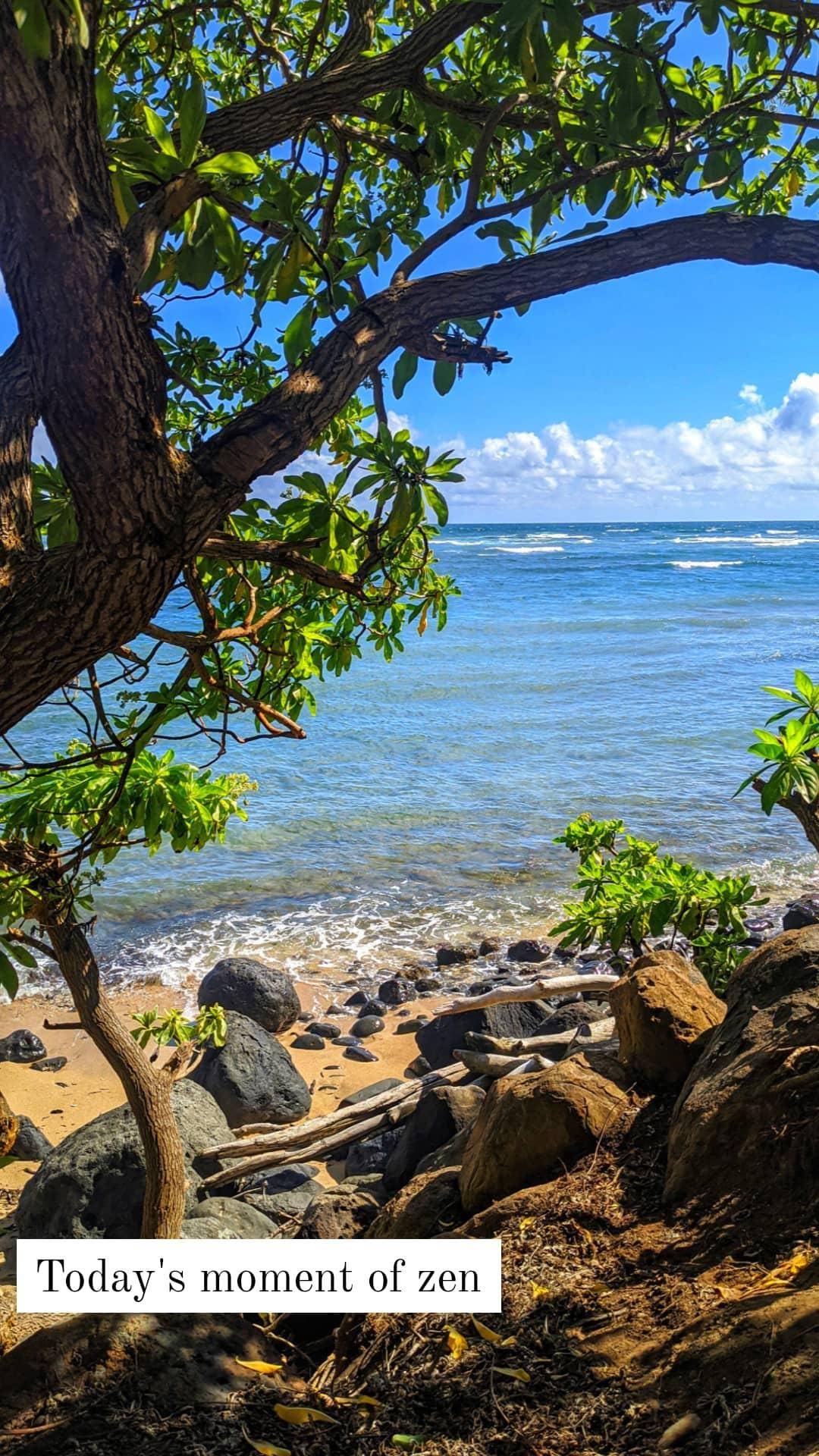 Happy Aloha Friday 🤙🏼🌞 | Scrolller