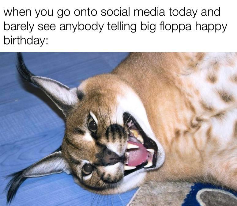 Happy birthday, big floppa! | Scrolller