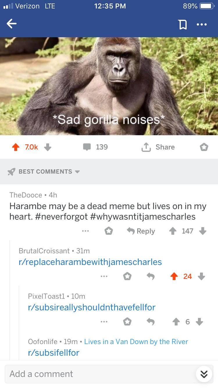 Happy birthday Harambe | Scrolller