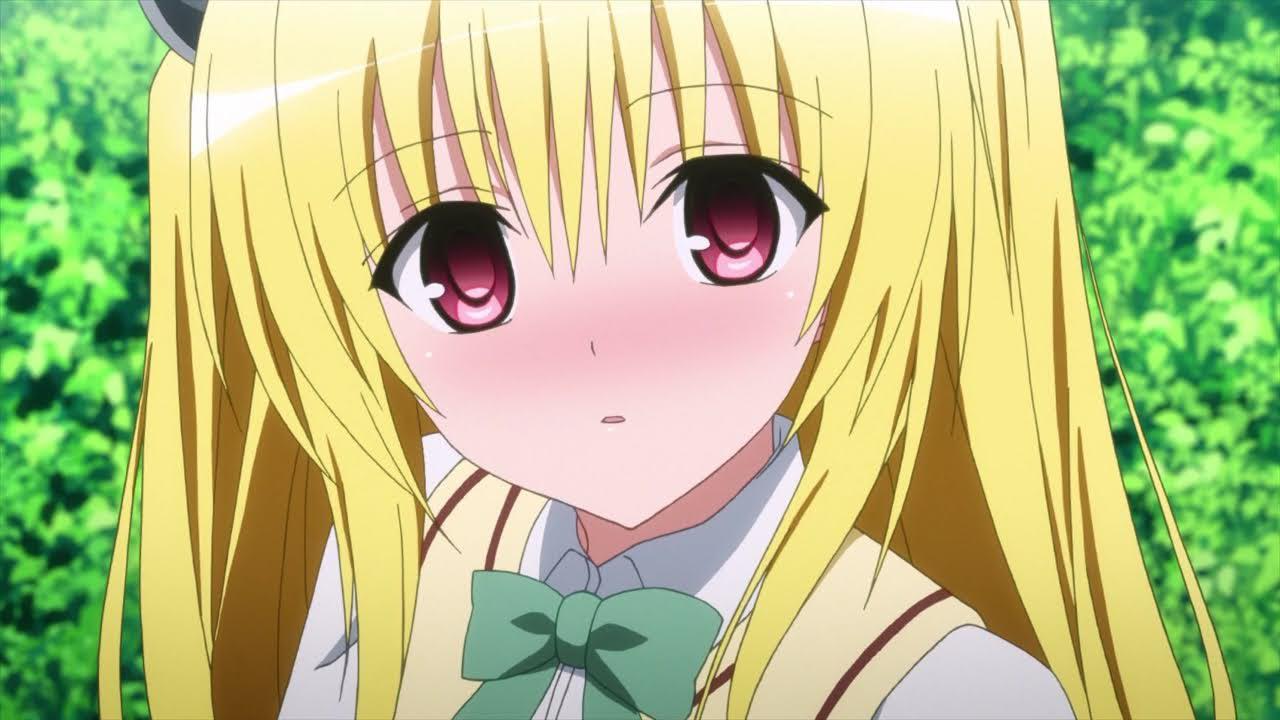 Happy Birthday Yami-chan! | Scrolller