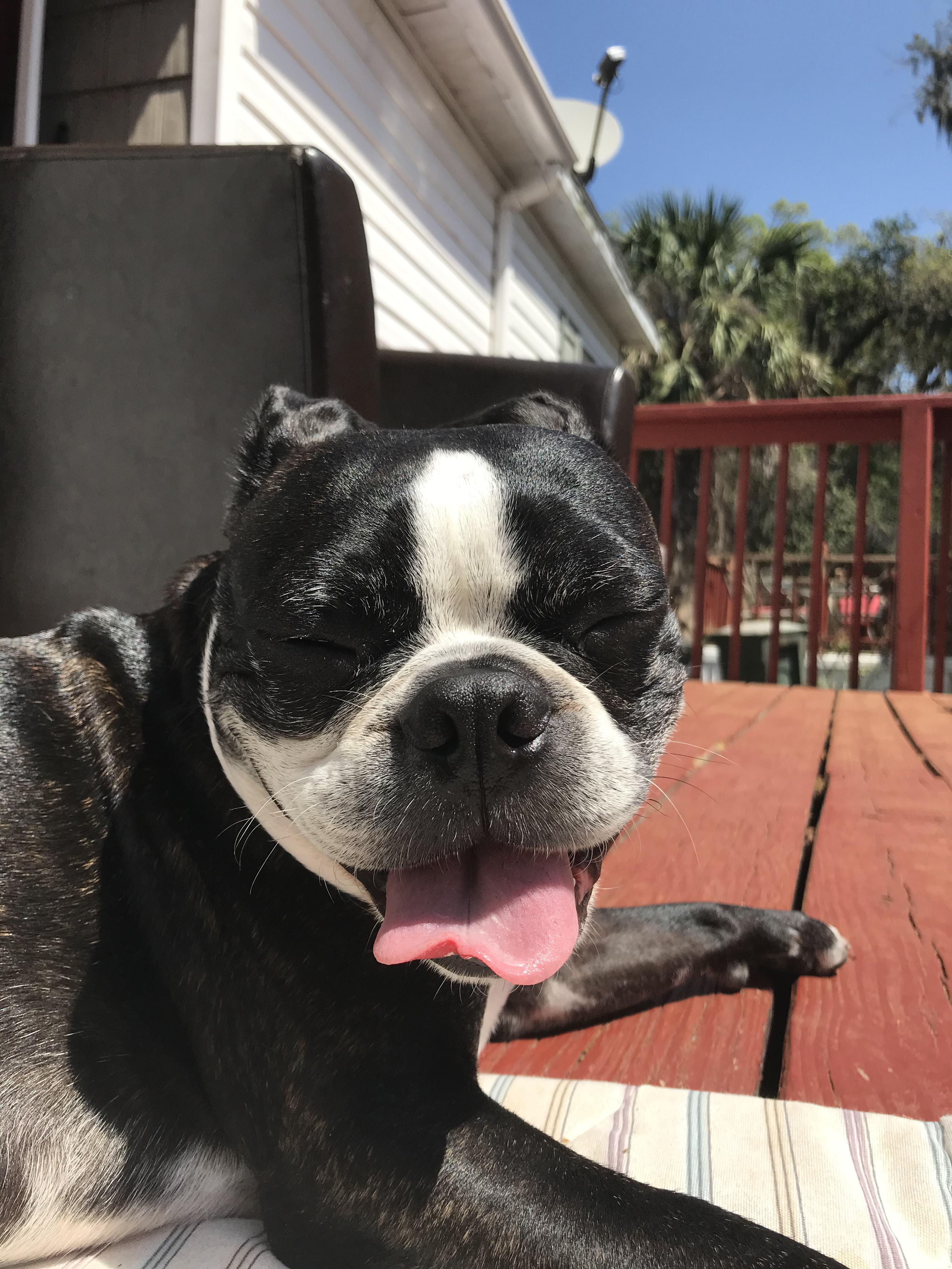 Happy Boston | Scrolller