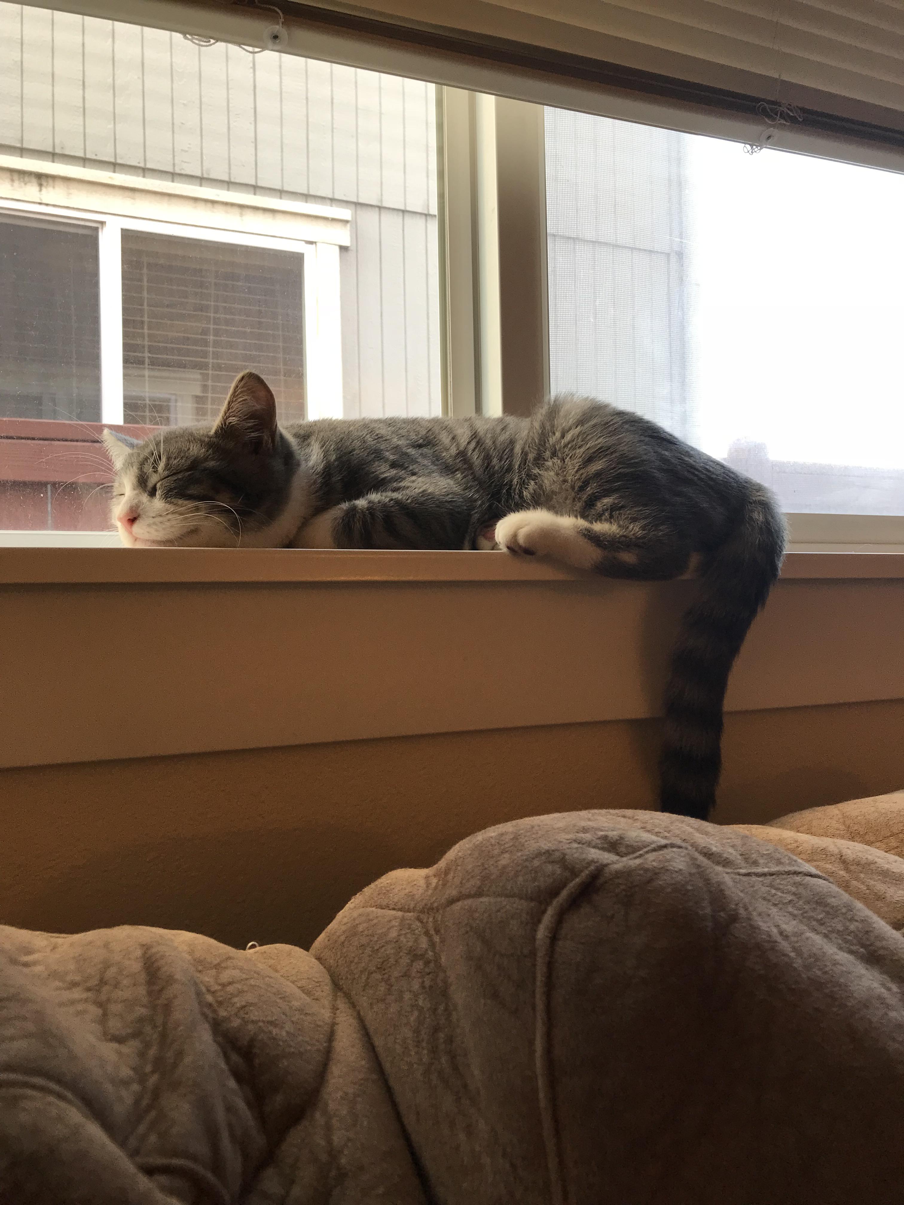 Happy boy | Scrolller