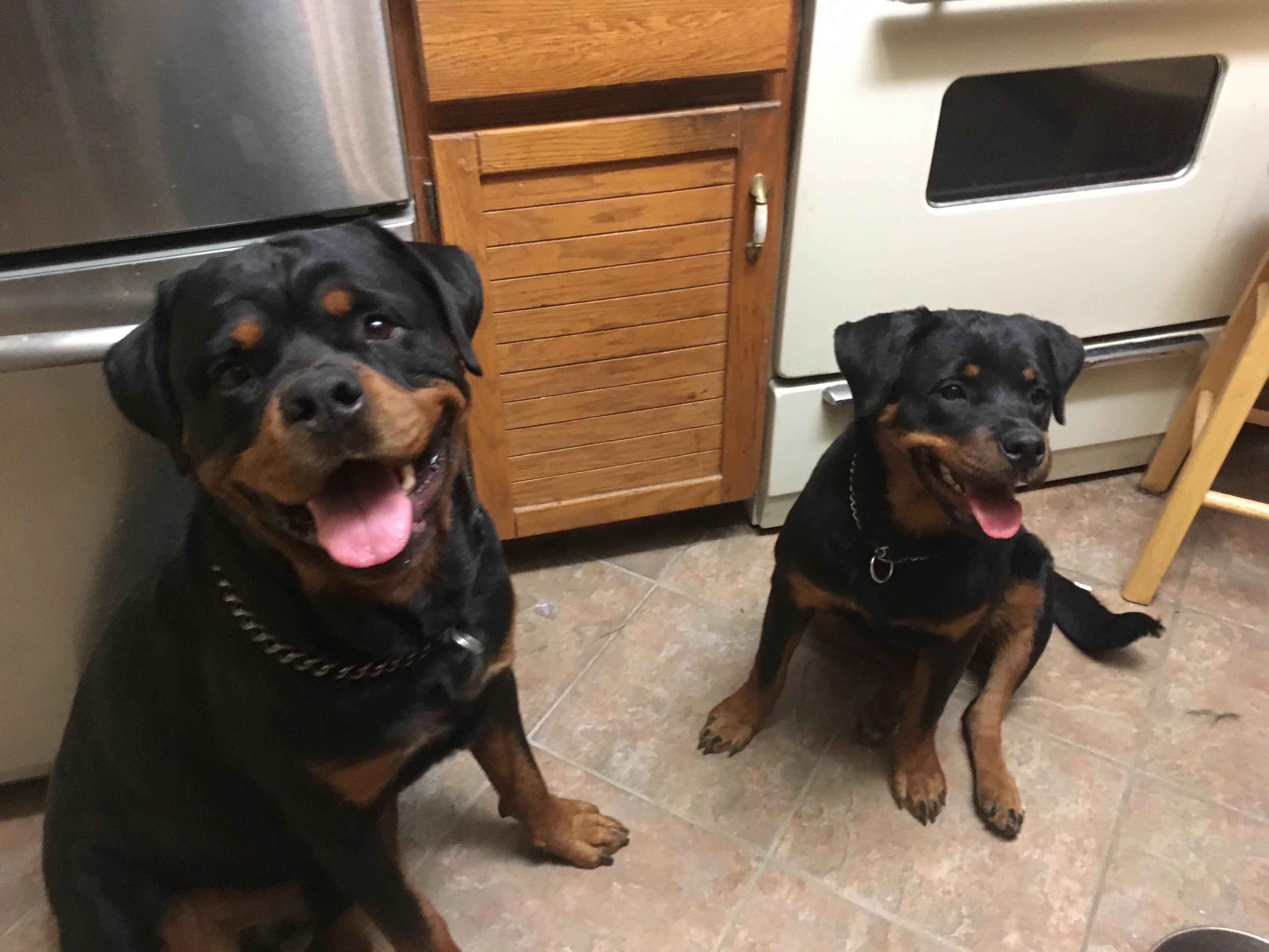 Happy boy. | Scrolller