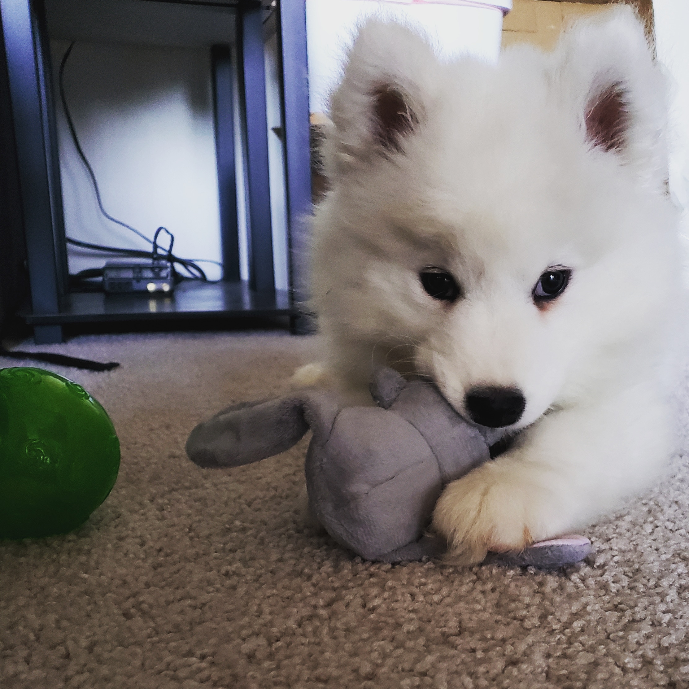 Happy cloud | Scrolller