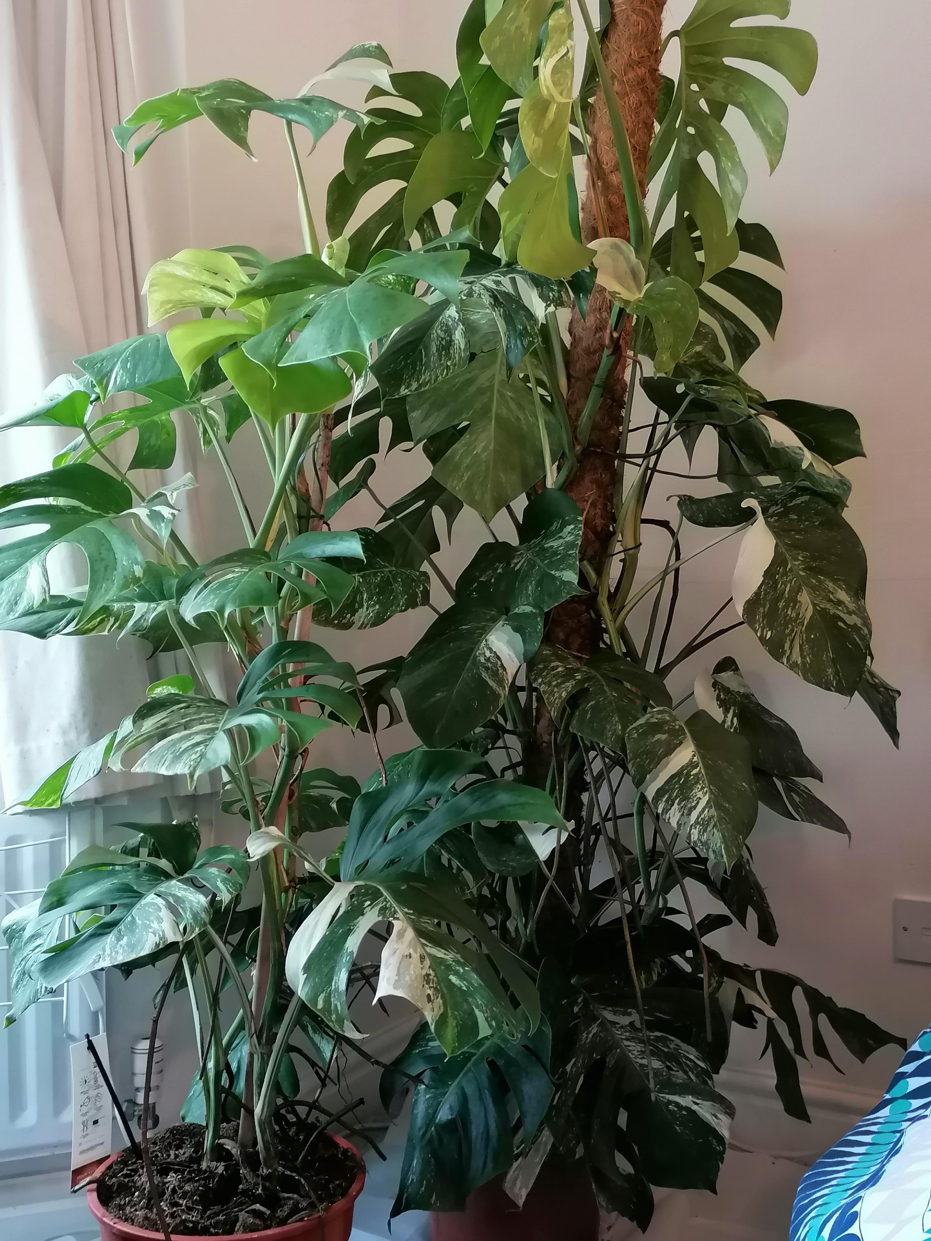 Happy corner 💚 | Scrolller