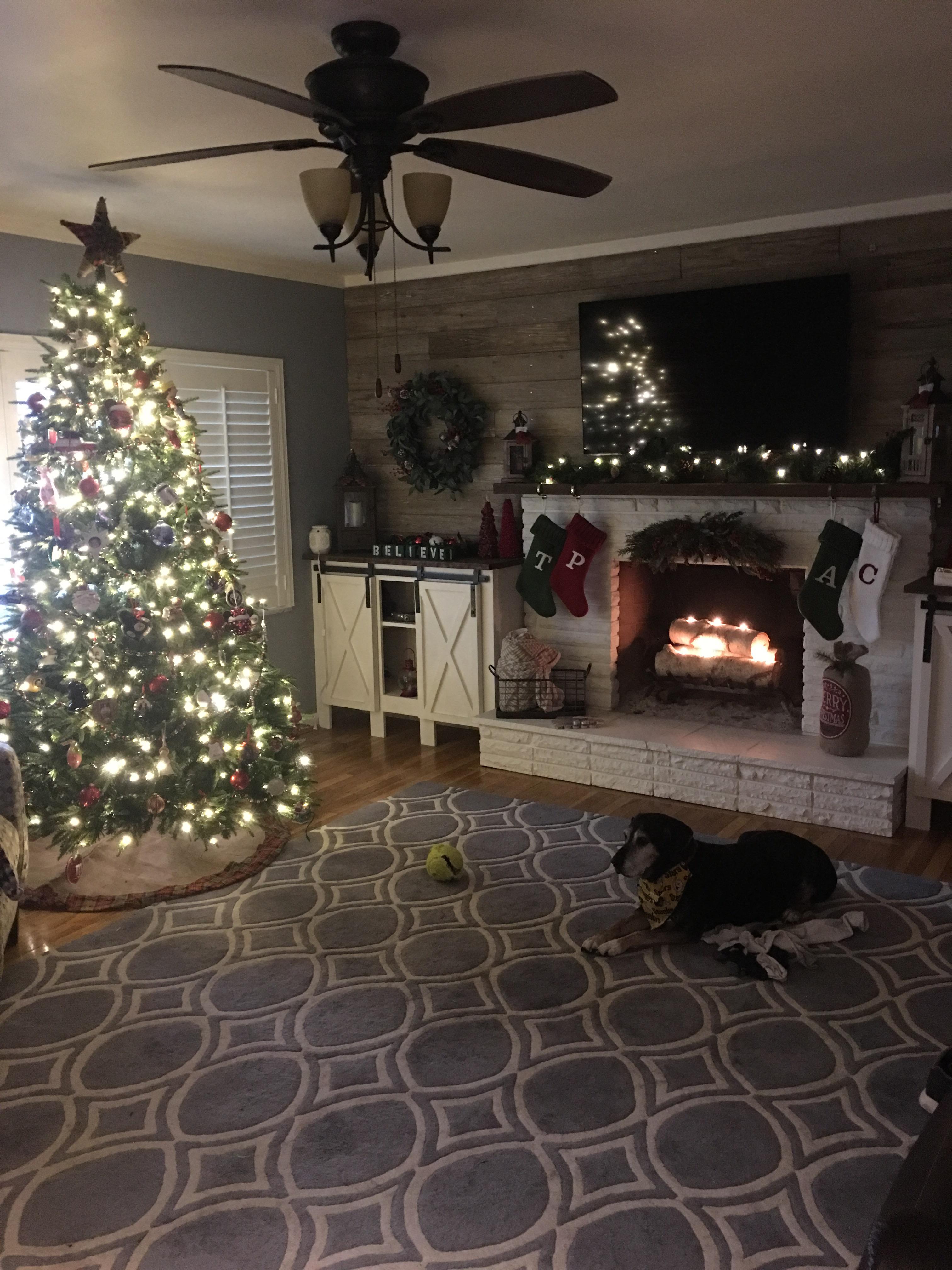 Happy December 1! 🎄 | Scrolller