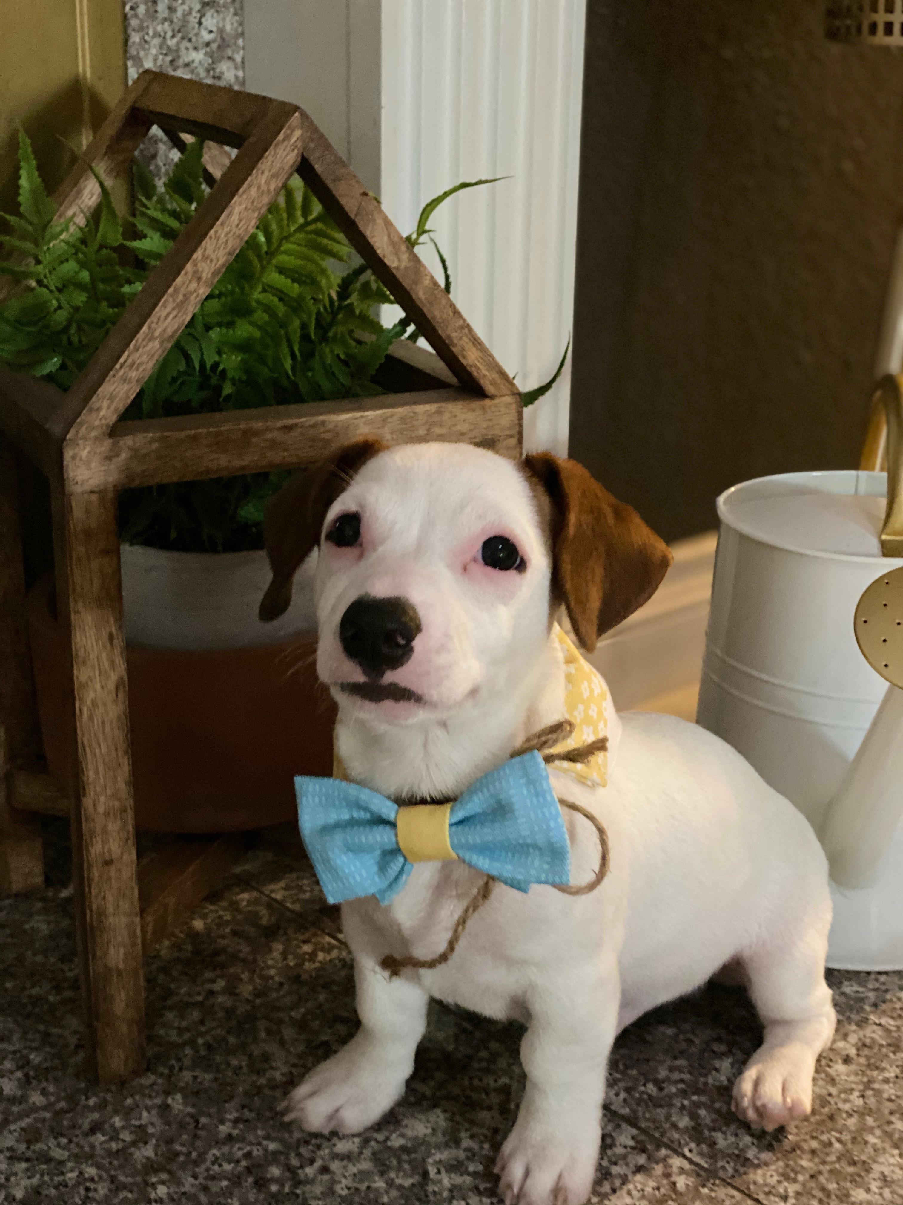 Happy Easter! | Scrolller