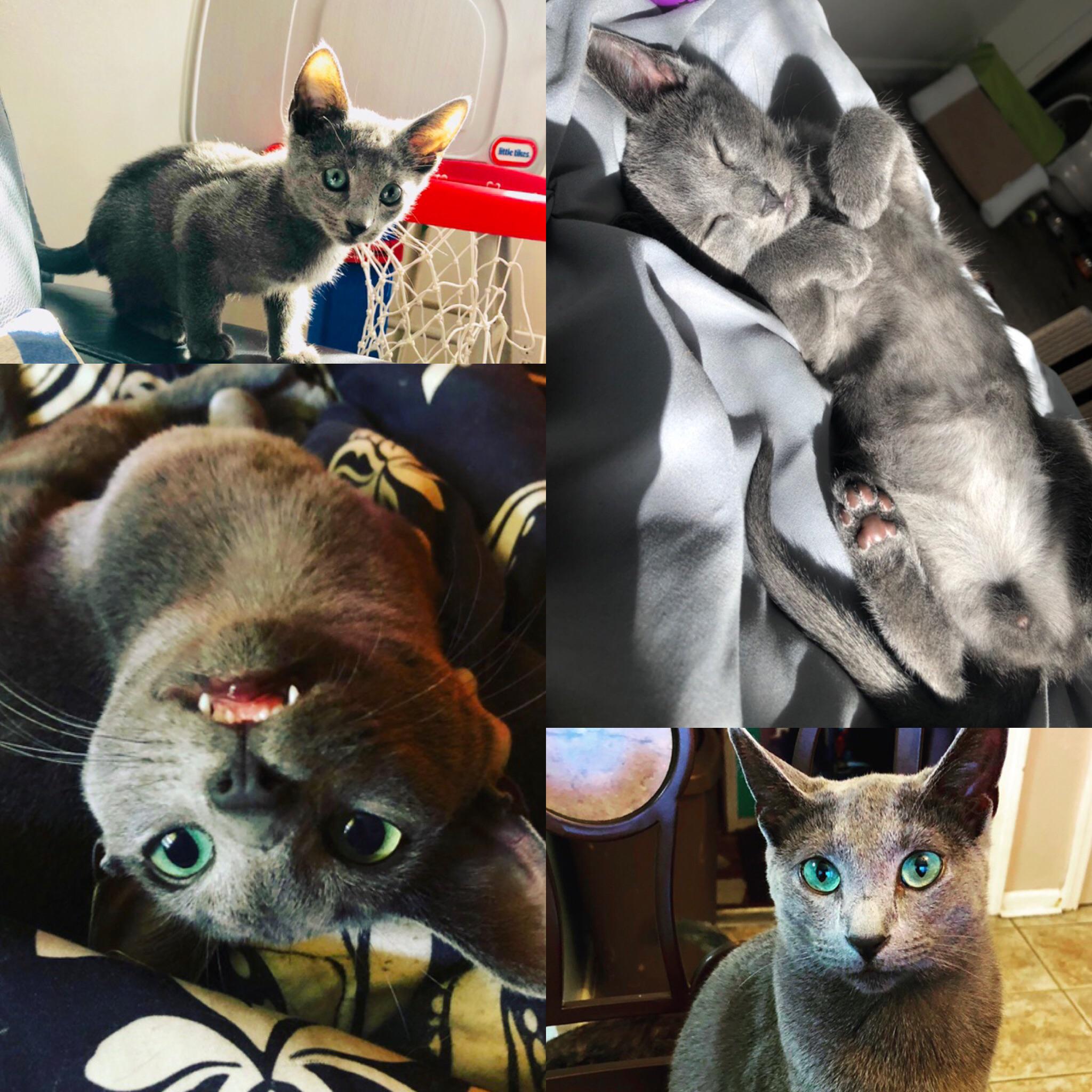 Happy First Birthday Viktor | Scrolller