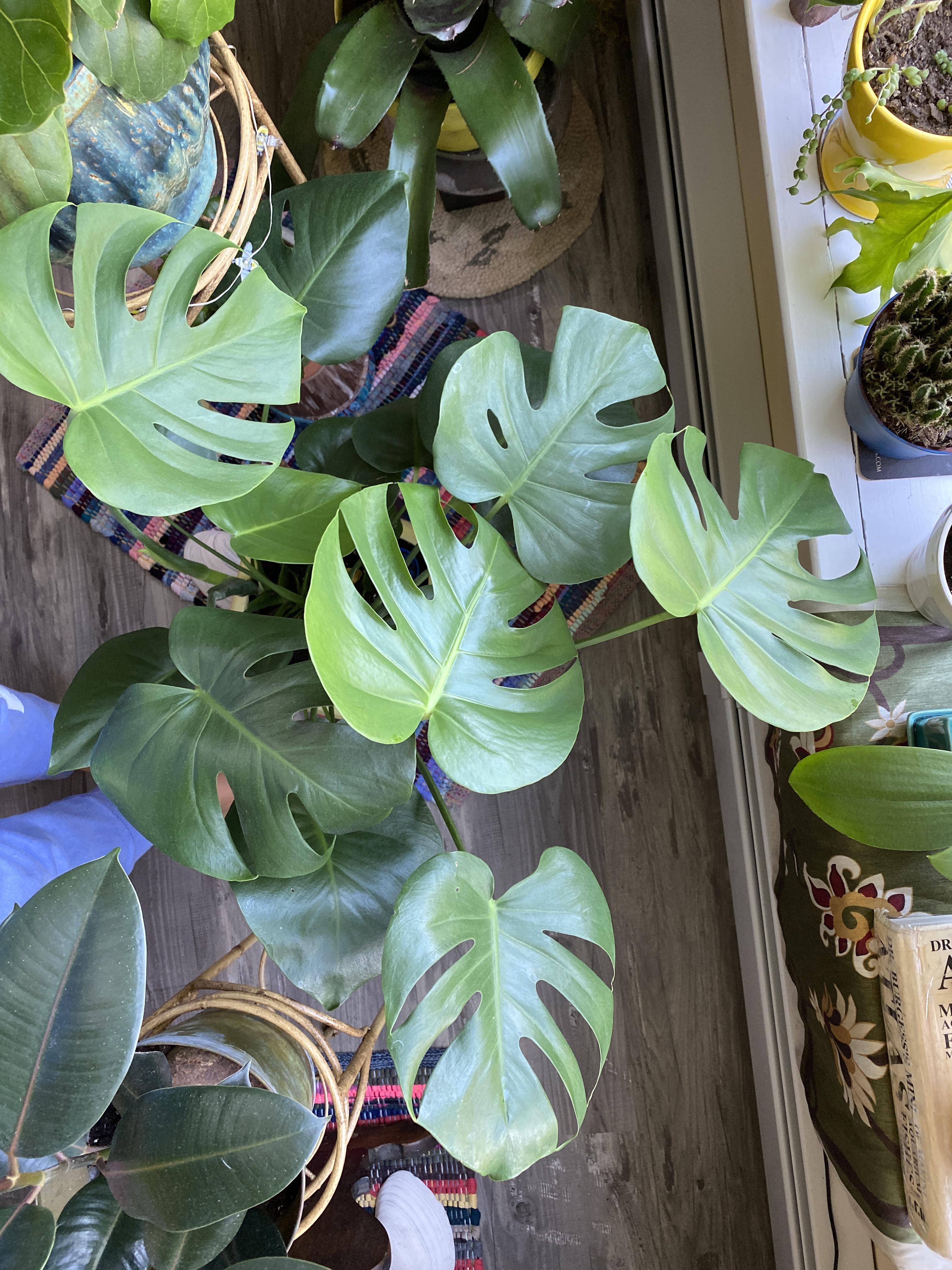 Happy gal😍 | Scrolller