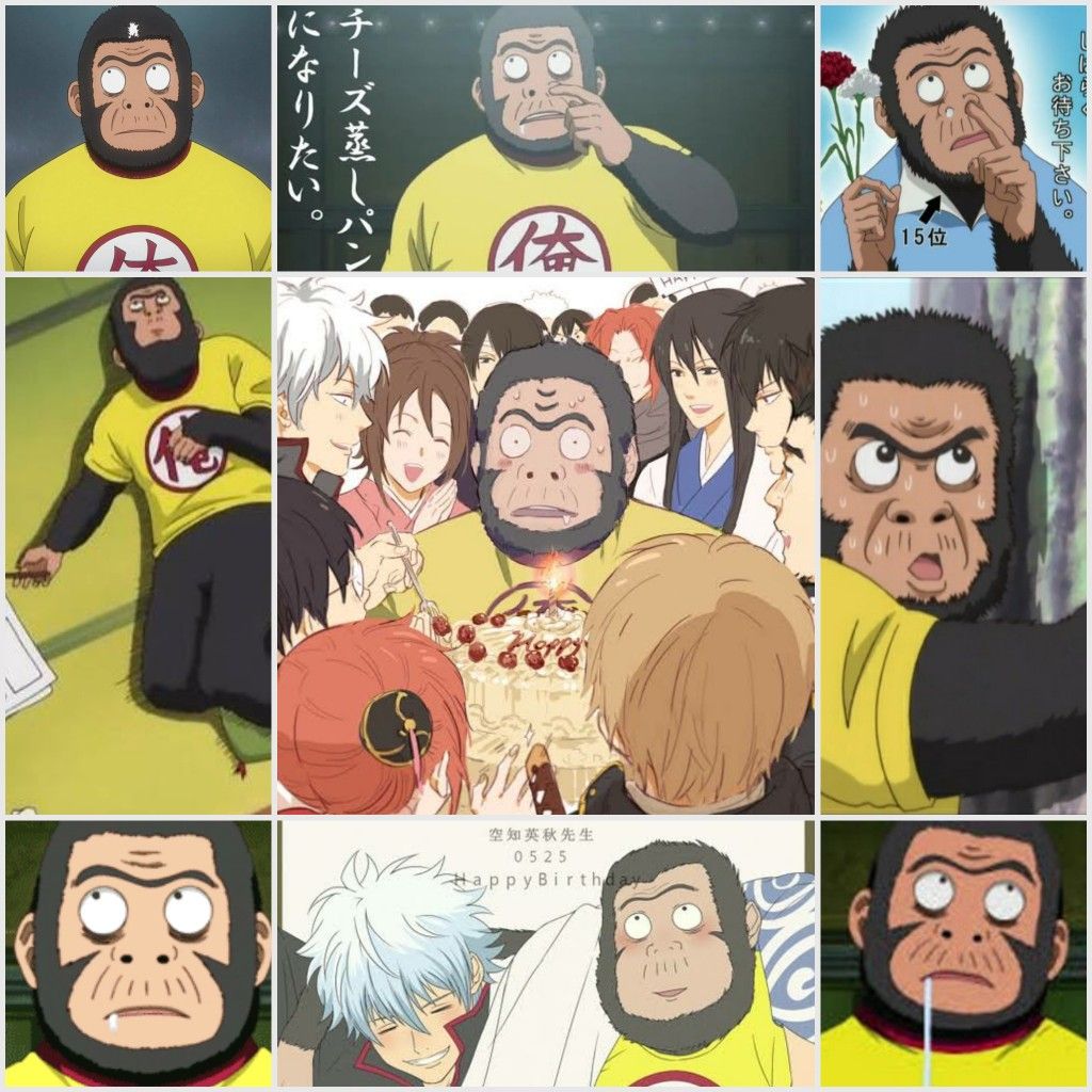 Happy Gorilla Day!!! | Scrolller