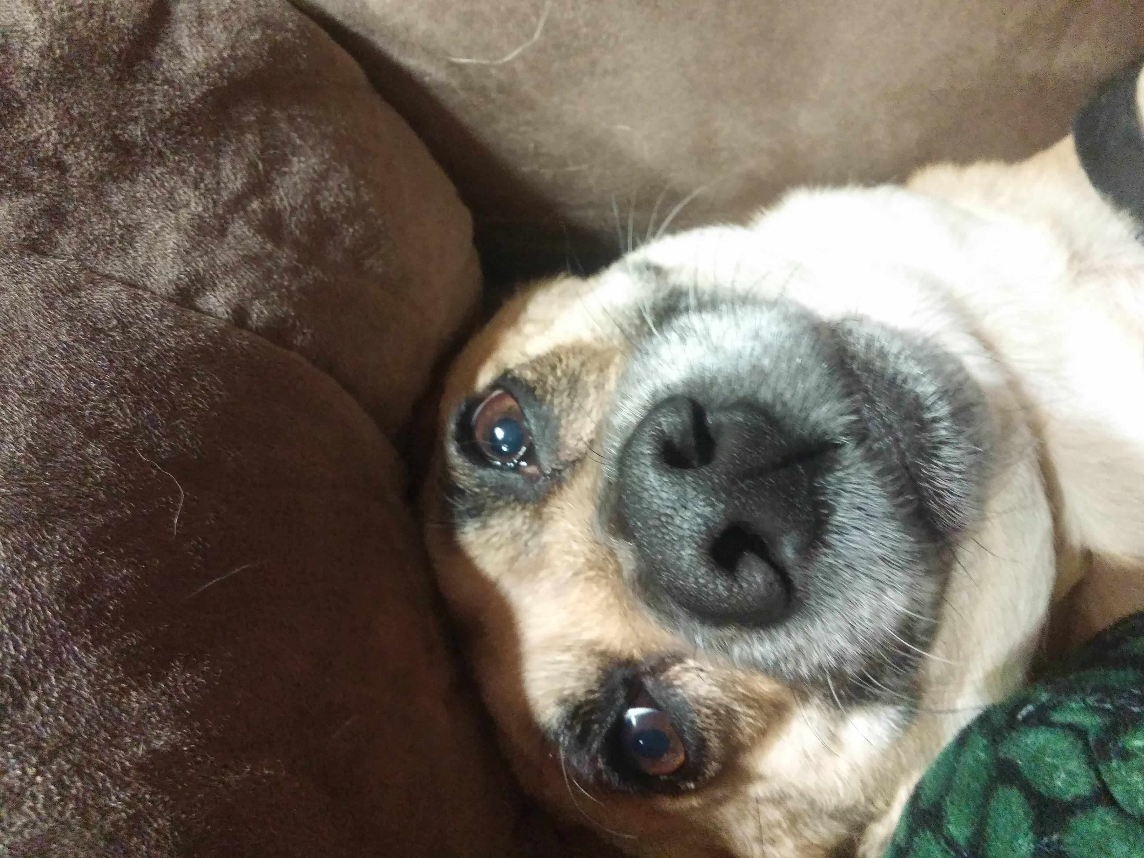 Happy is an understatement | Scrolller