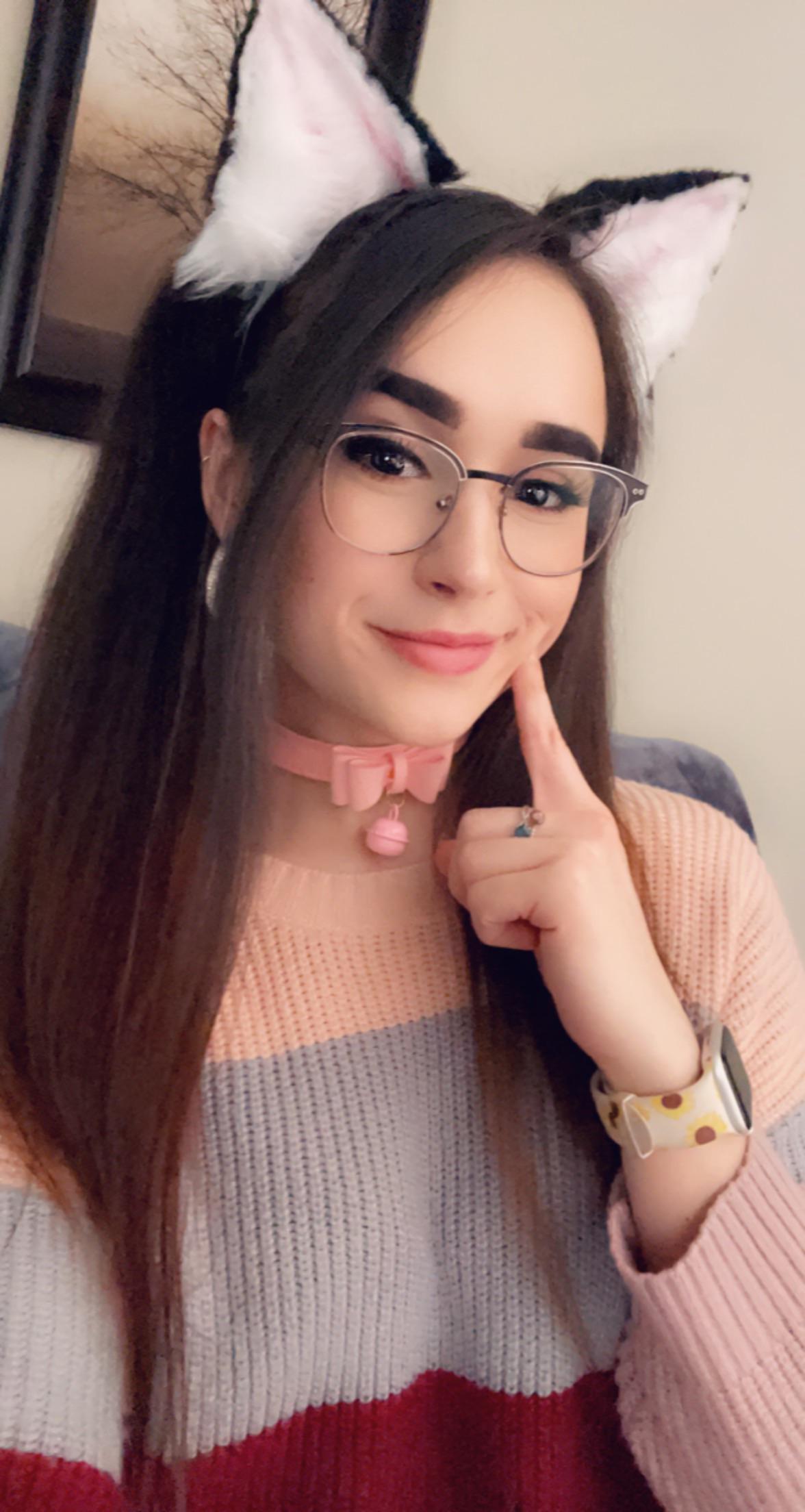 Happy Kitty 💖 | Scrolller