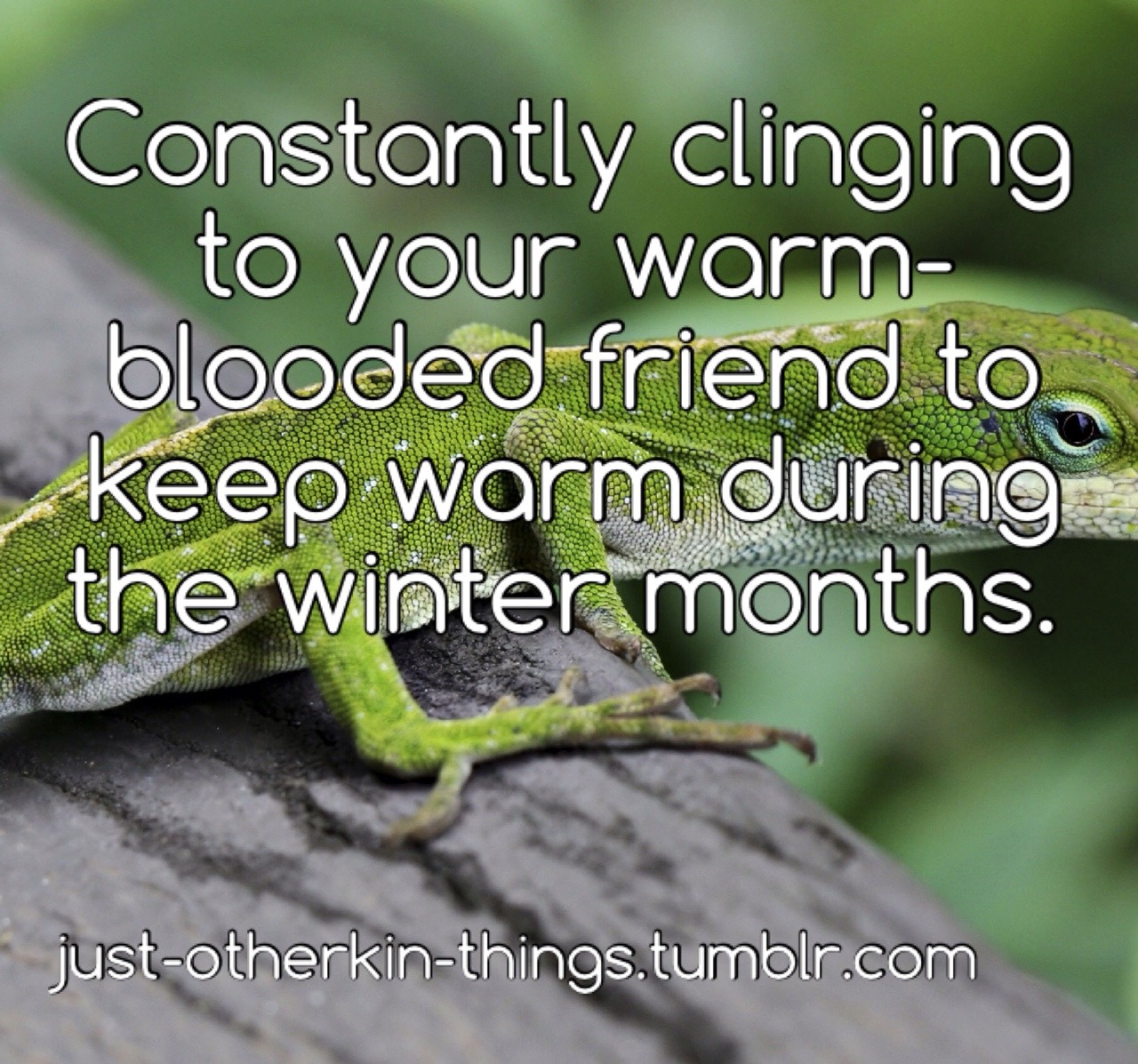 Happy New Year's, you cold-blooded beings. | Scrolller