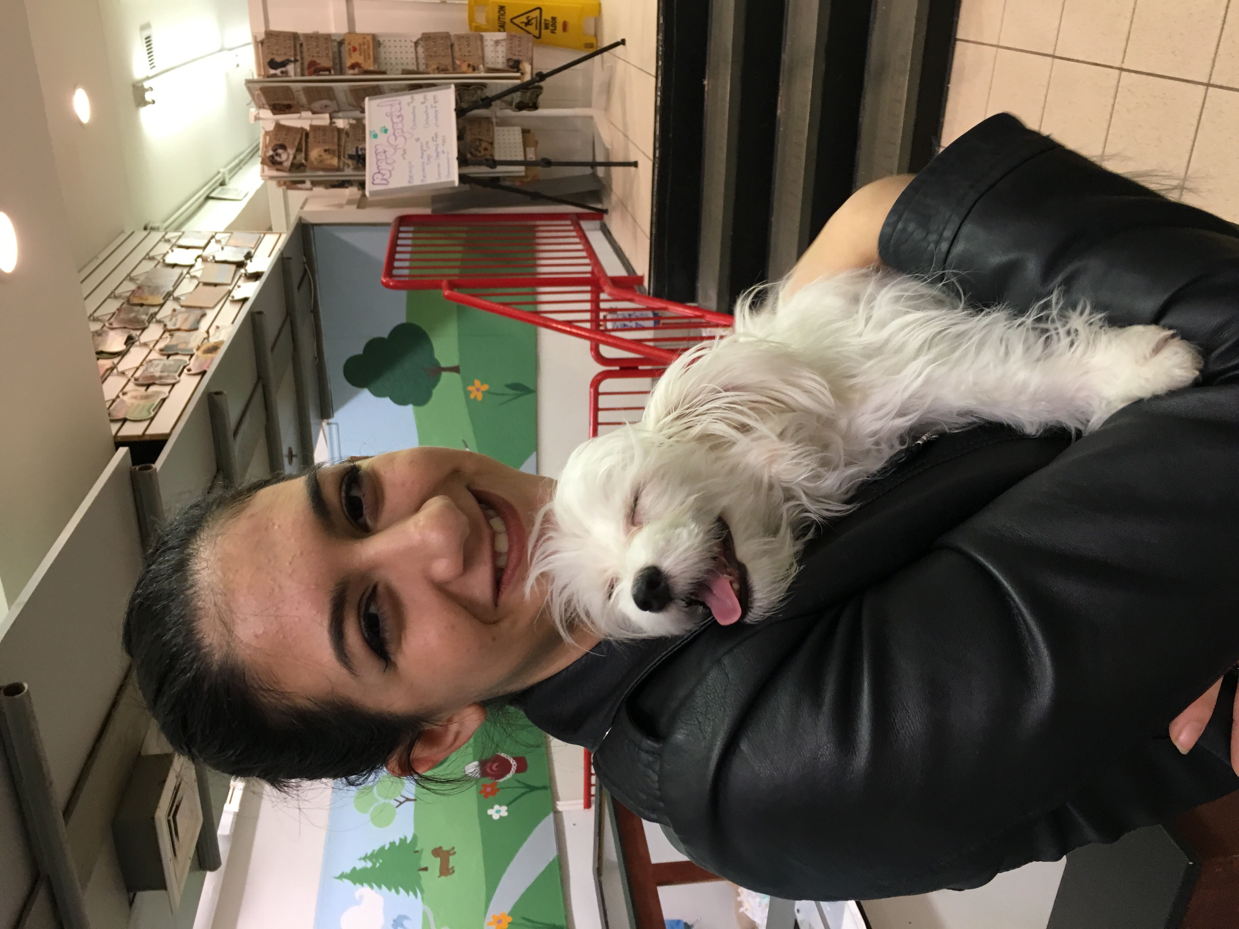 Happy puppy | Scrolller