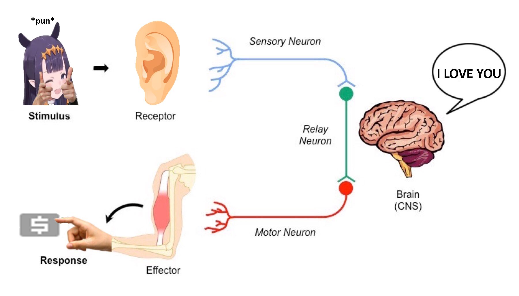 *happy Takodachi noises* | Scrolller