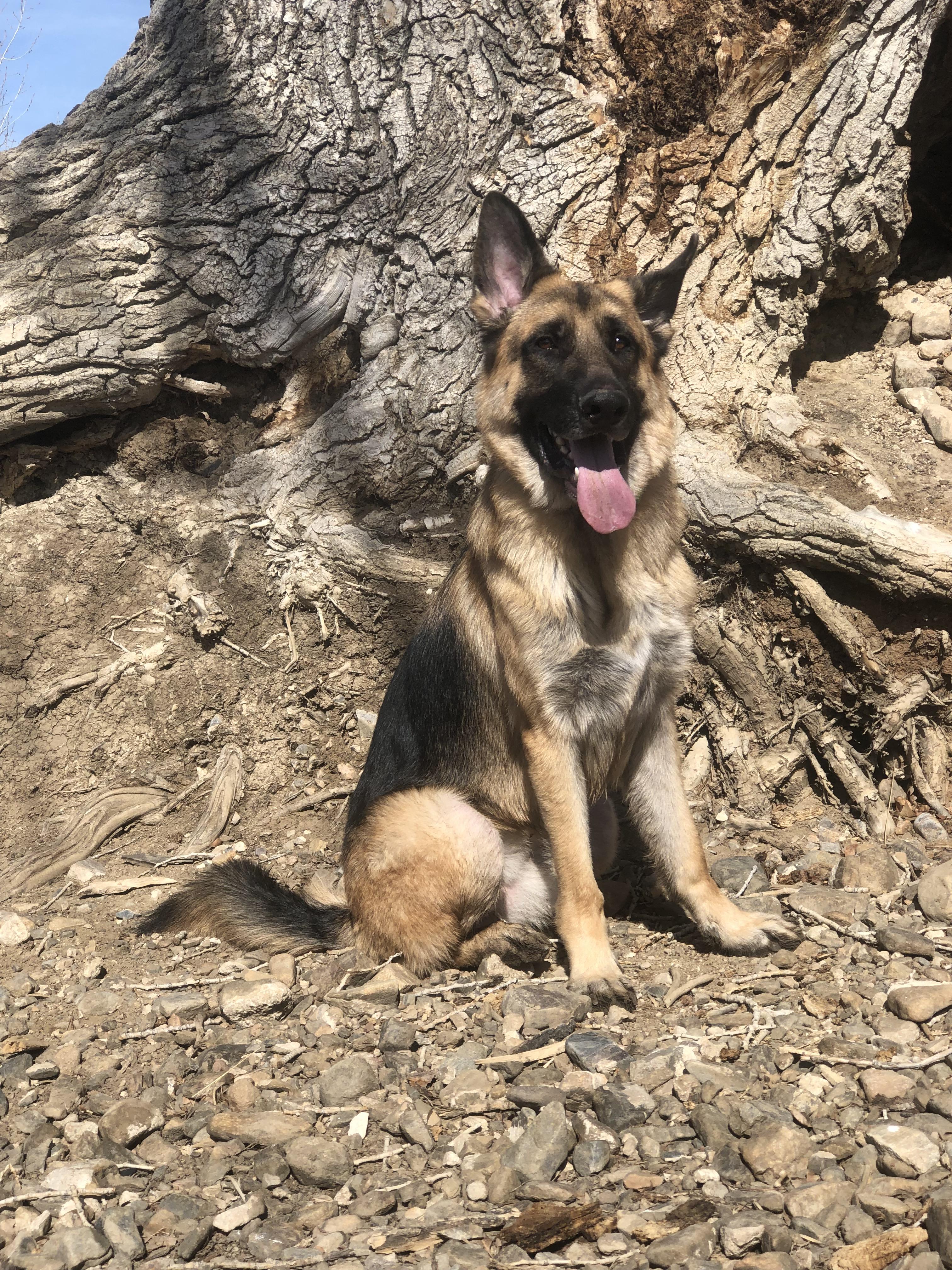 Happy trail boy | Scrolller