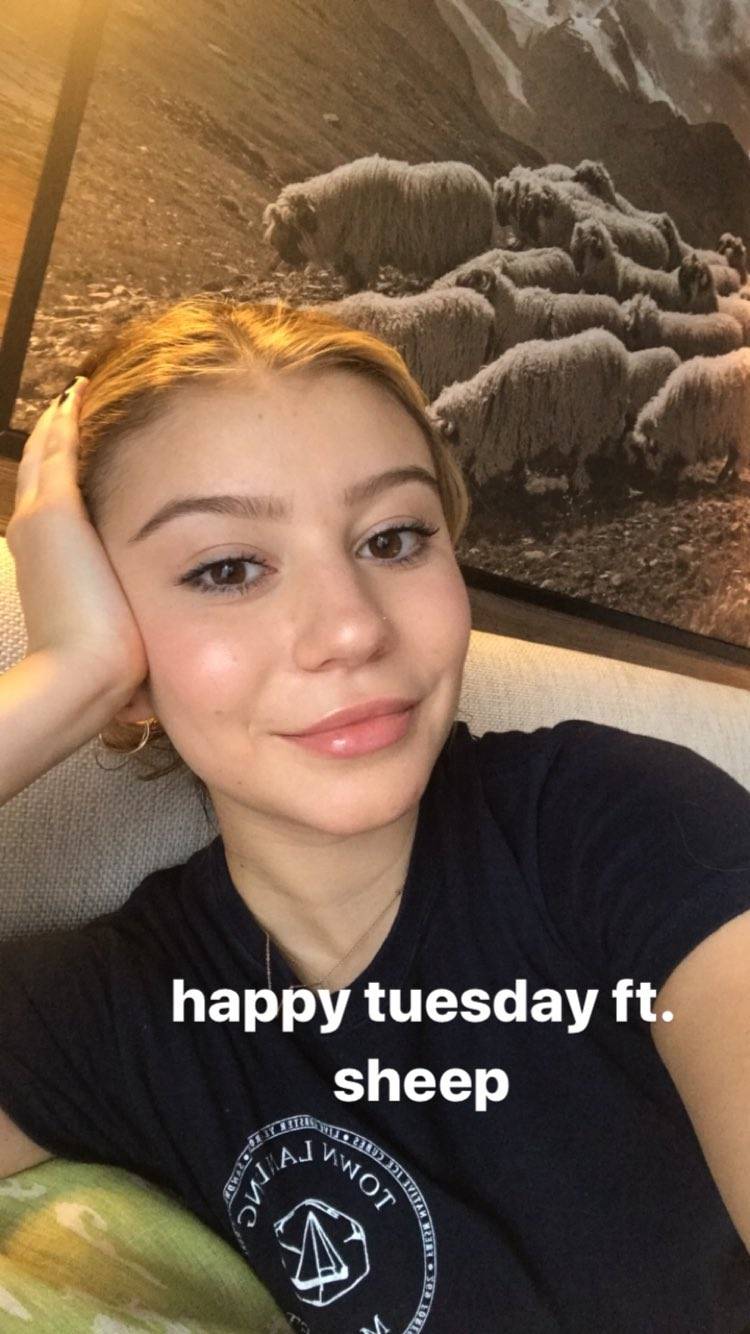 Happy Tuesday | Scrolller