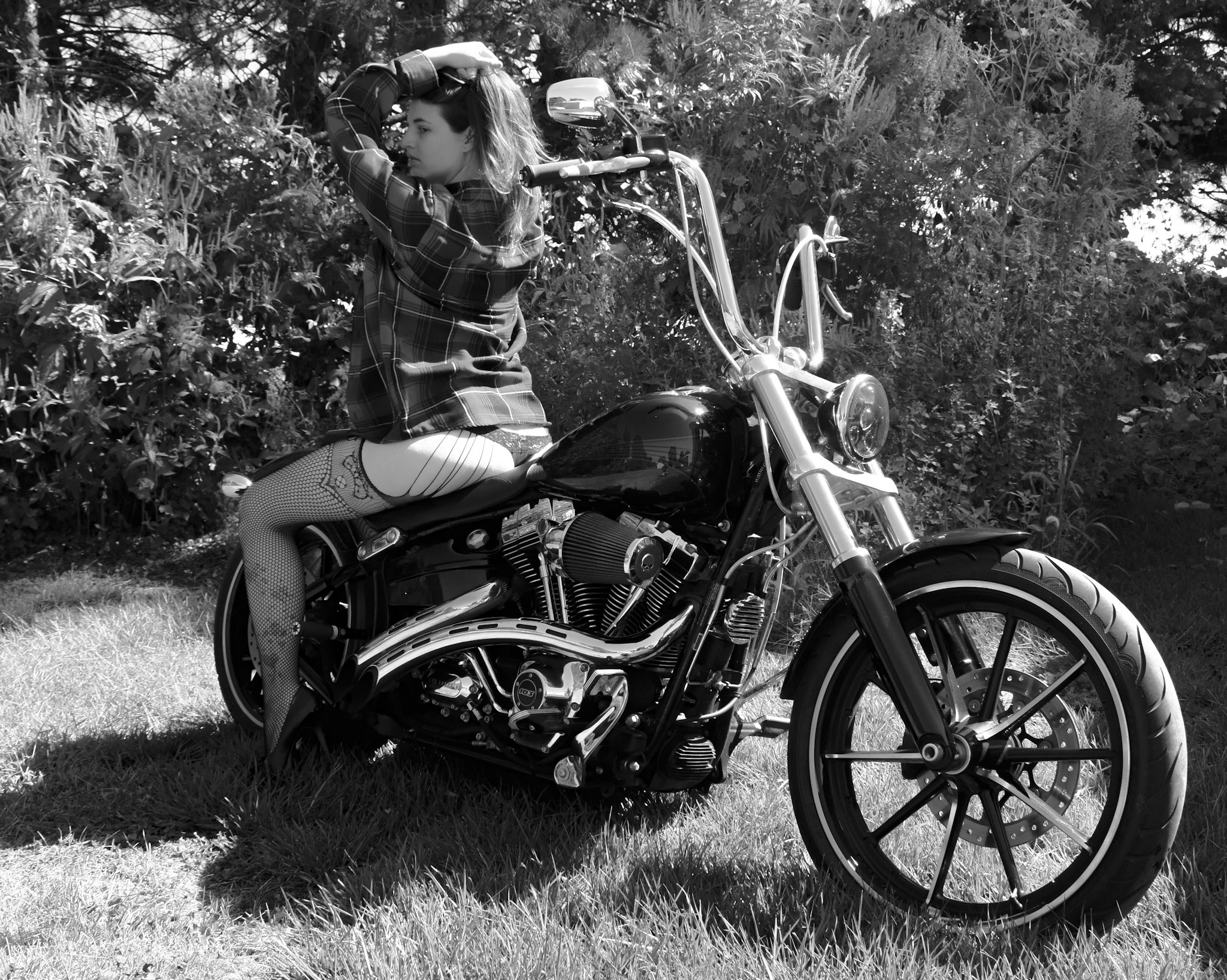 Harley Davidson Style | Scrolller