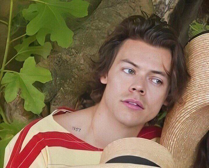 Harry Styles | Scrolller