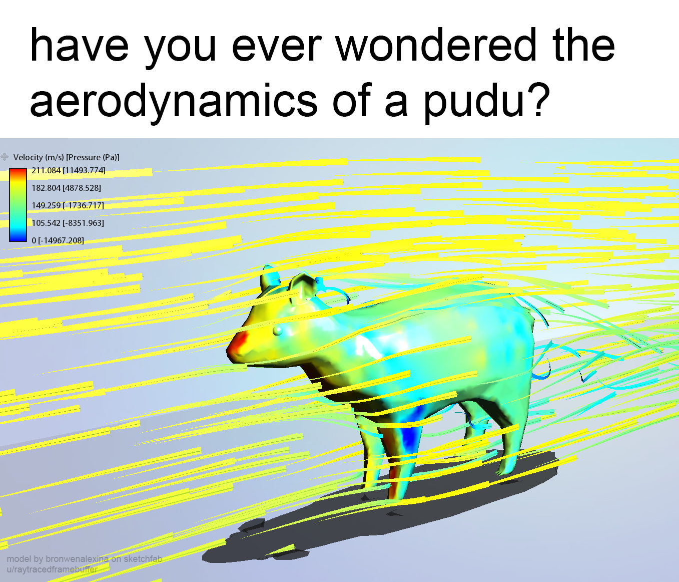 have you ever wondered the aerodynamics of a pudu? | Scrolller
