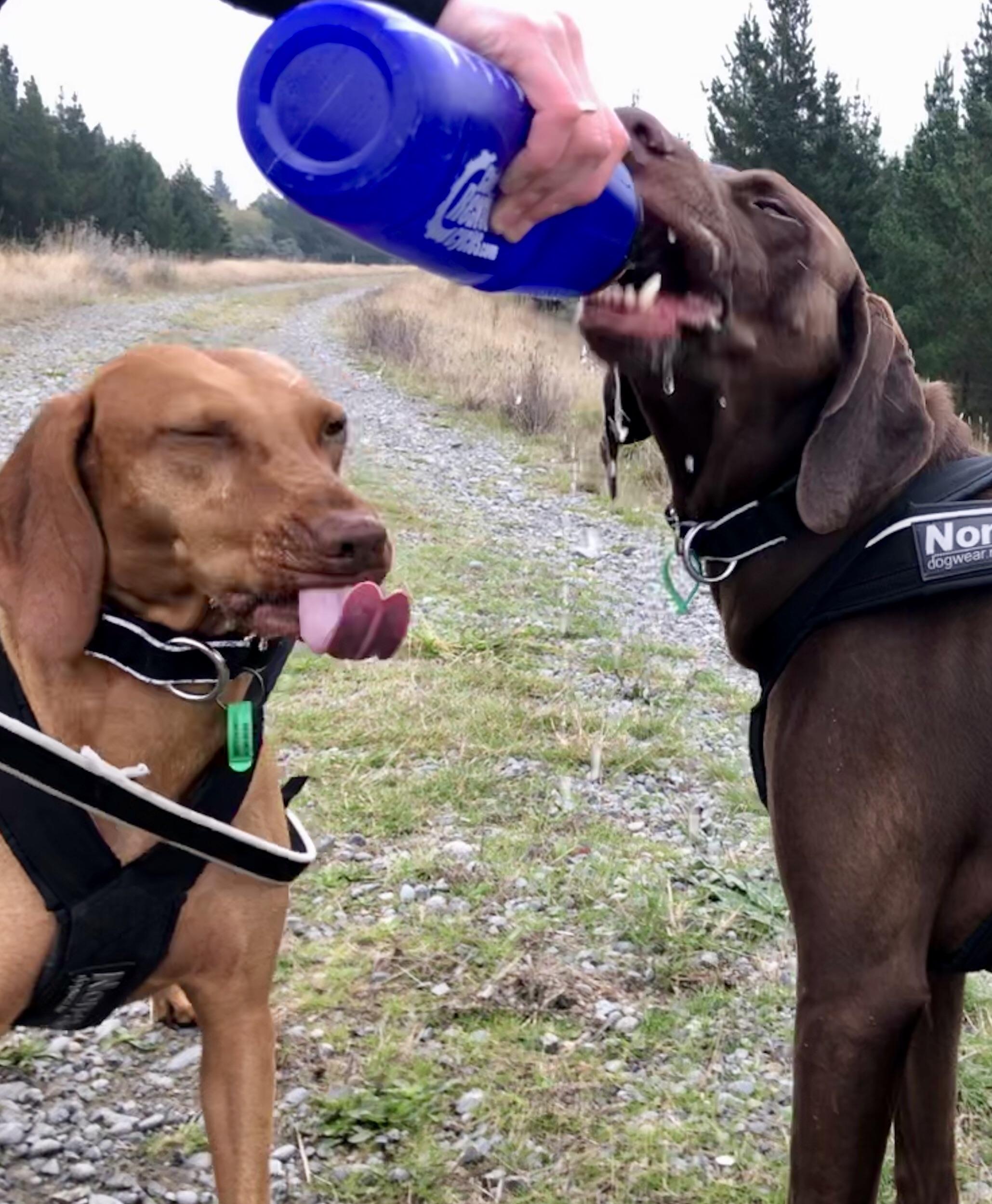 Having a pitstop | Scrolller