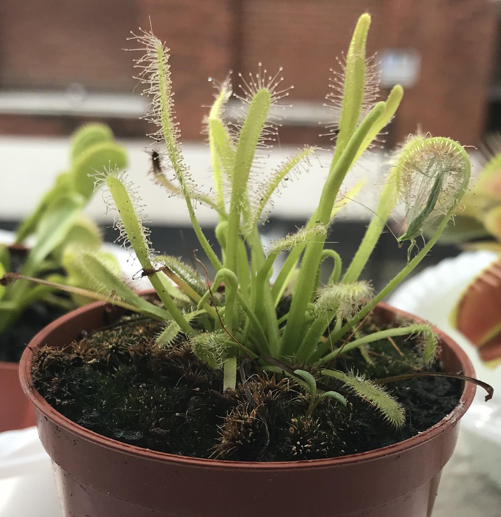 He caught his first meal!!!! | Scrolller