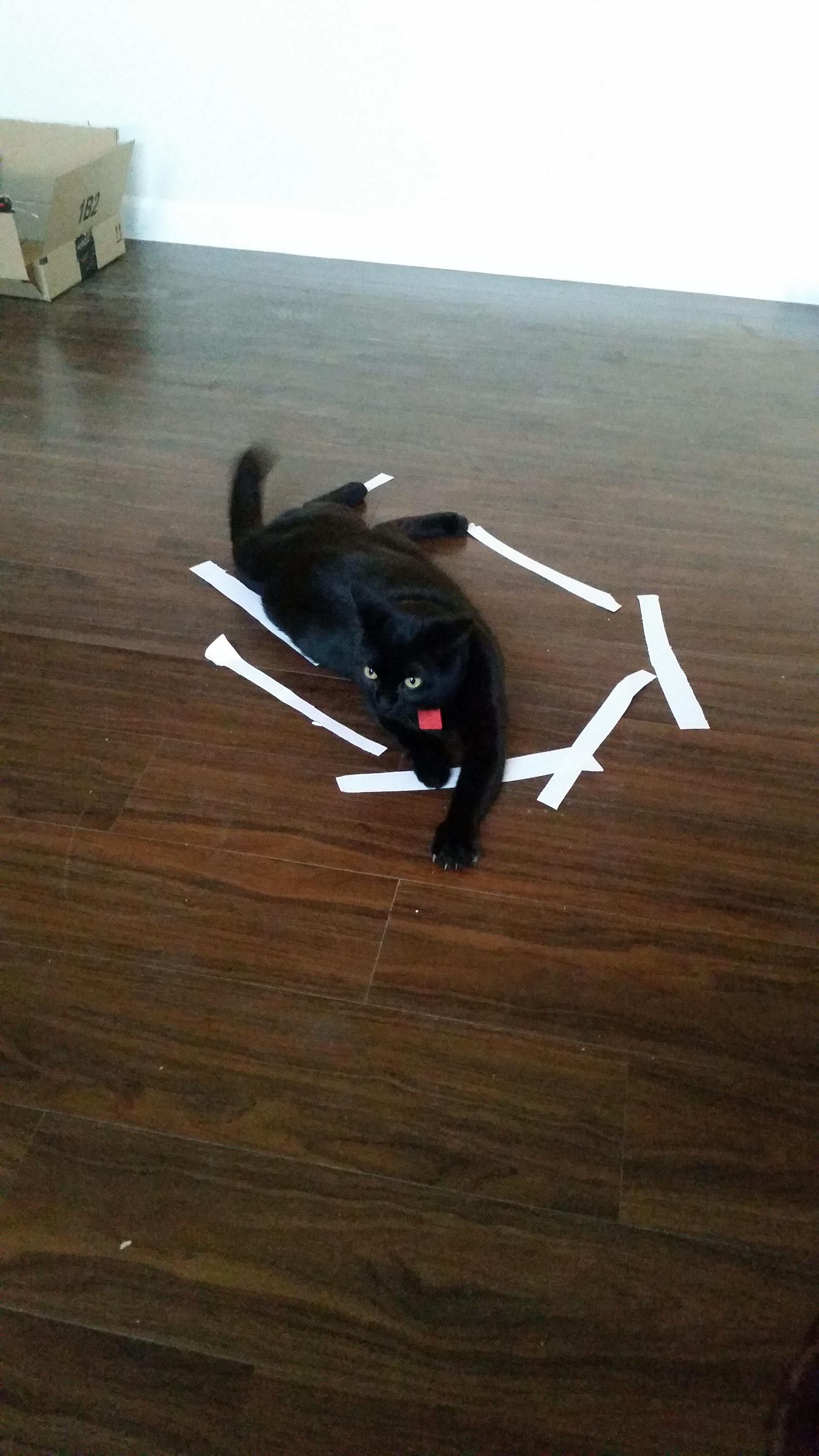 He chose the circle over the box | Scrolller