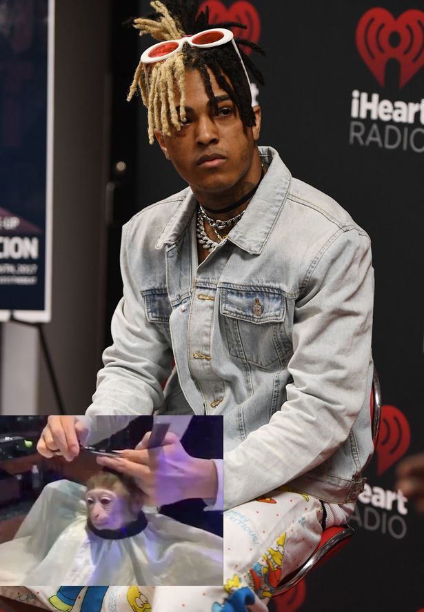 he do be lookin fresh doe | Scrolller