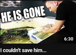 He is gone | Scrolller