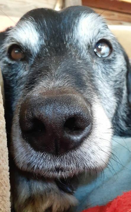 he isn't blind in his left eye, it's just weird | Scrolller