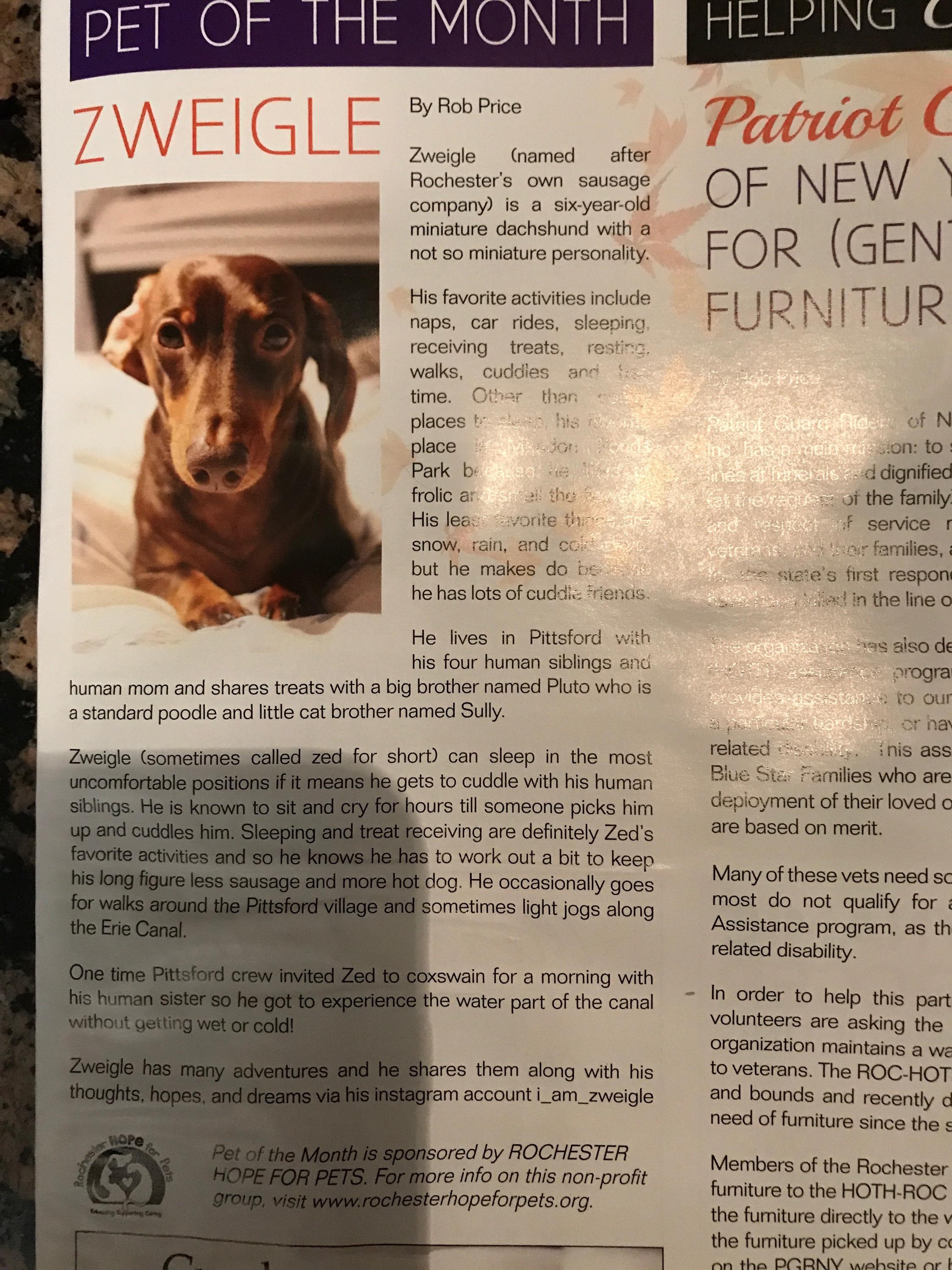 He made it into the paper! | Scrolller