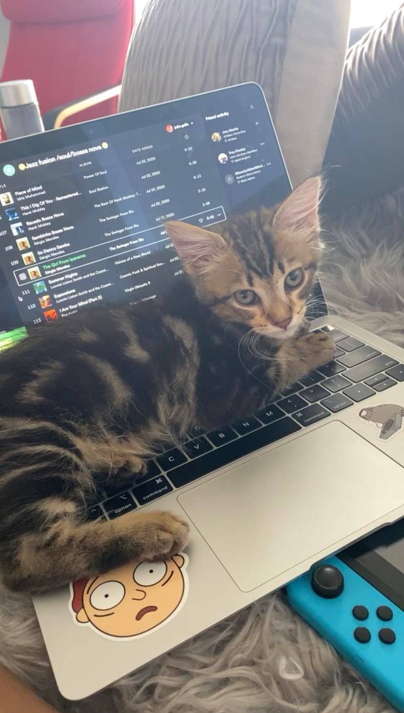 He managed to play a few songs, activate Voice Control and take a few screen shots | Scrolller