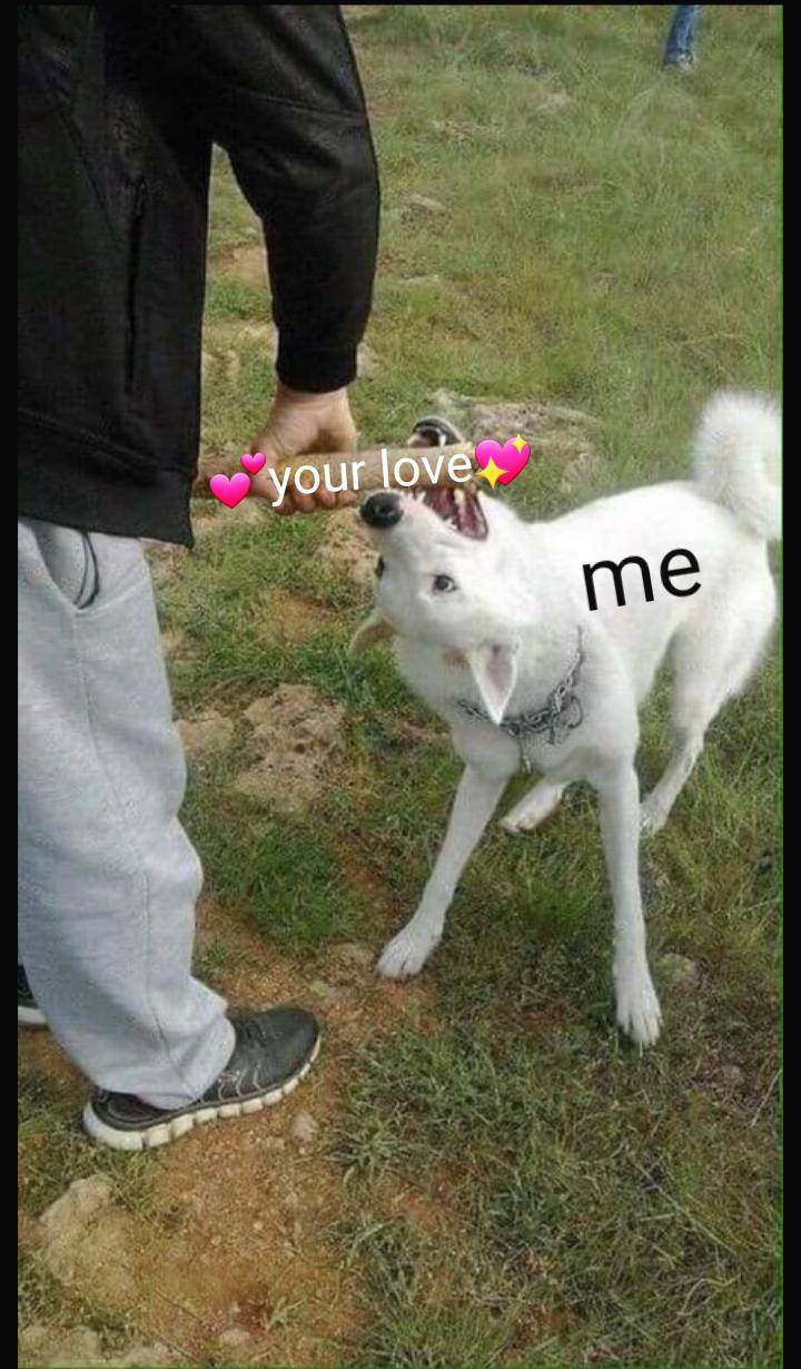 He munch | Scrolller