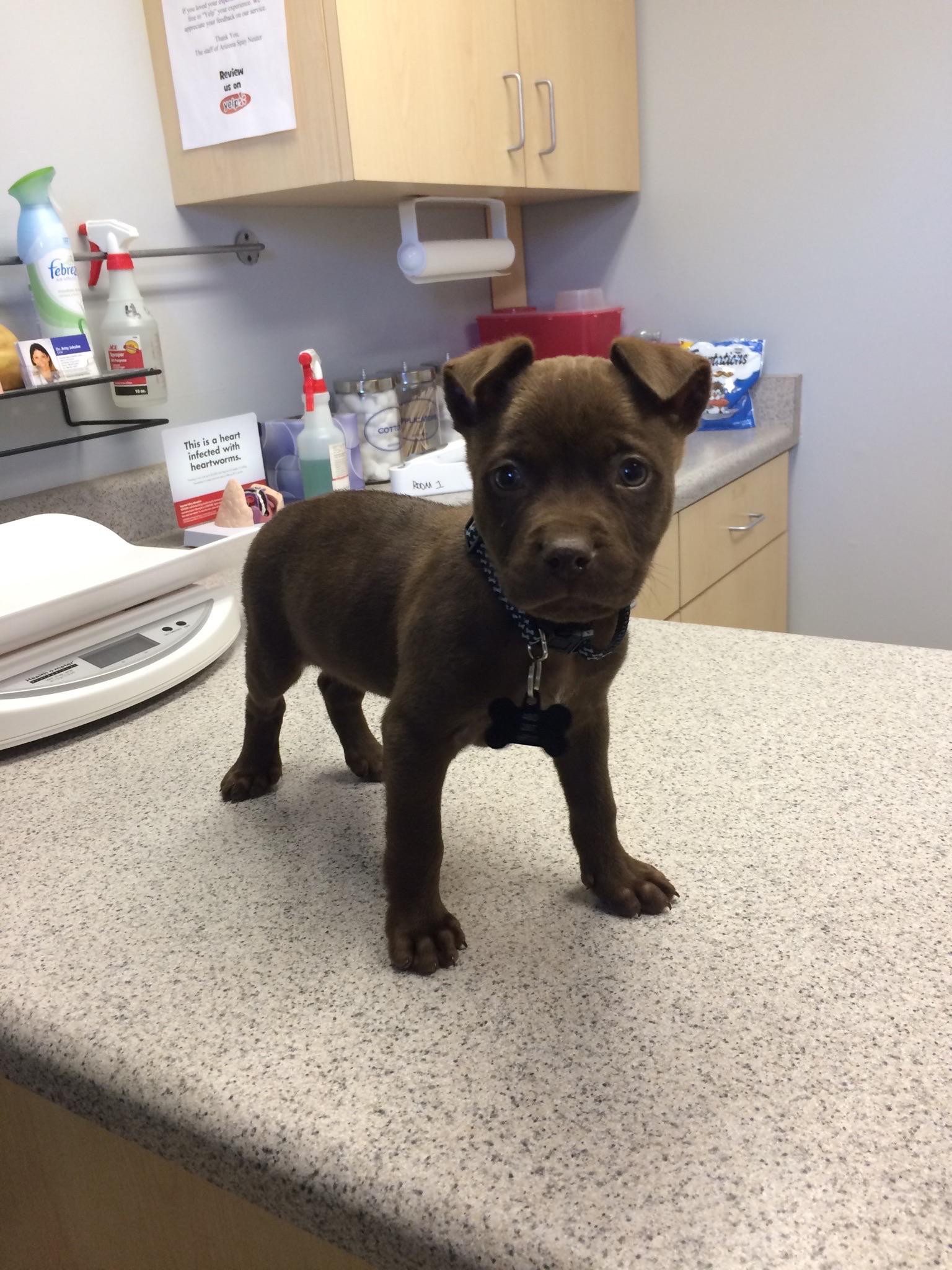 He’s running away! | Scrolller