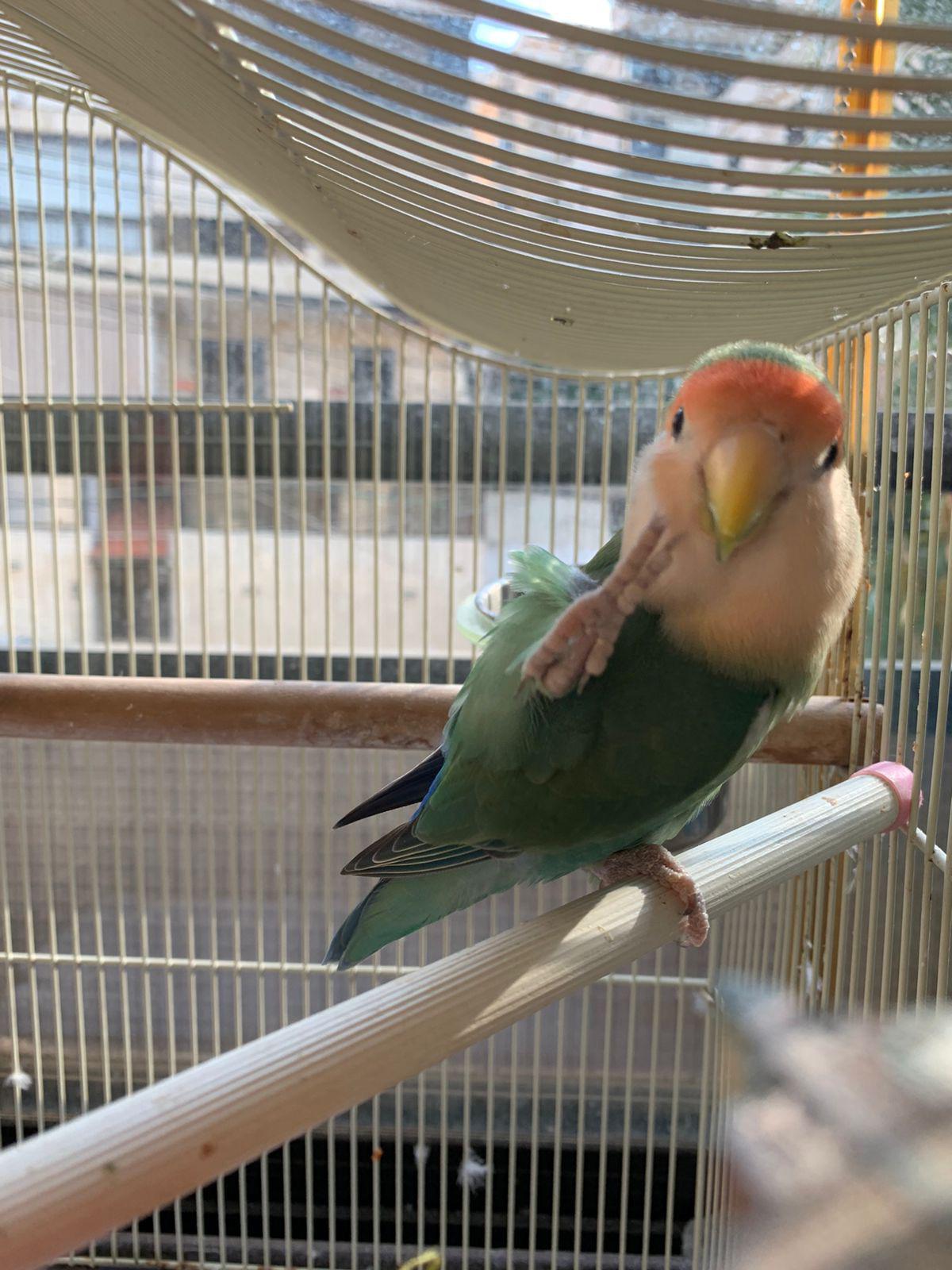 He struck a pose!! ️ | Scrolller