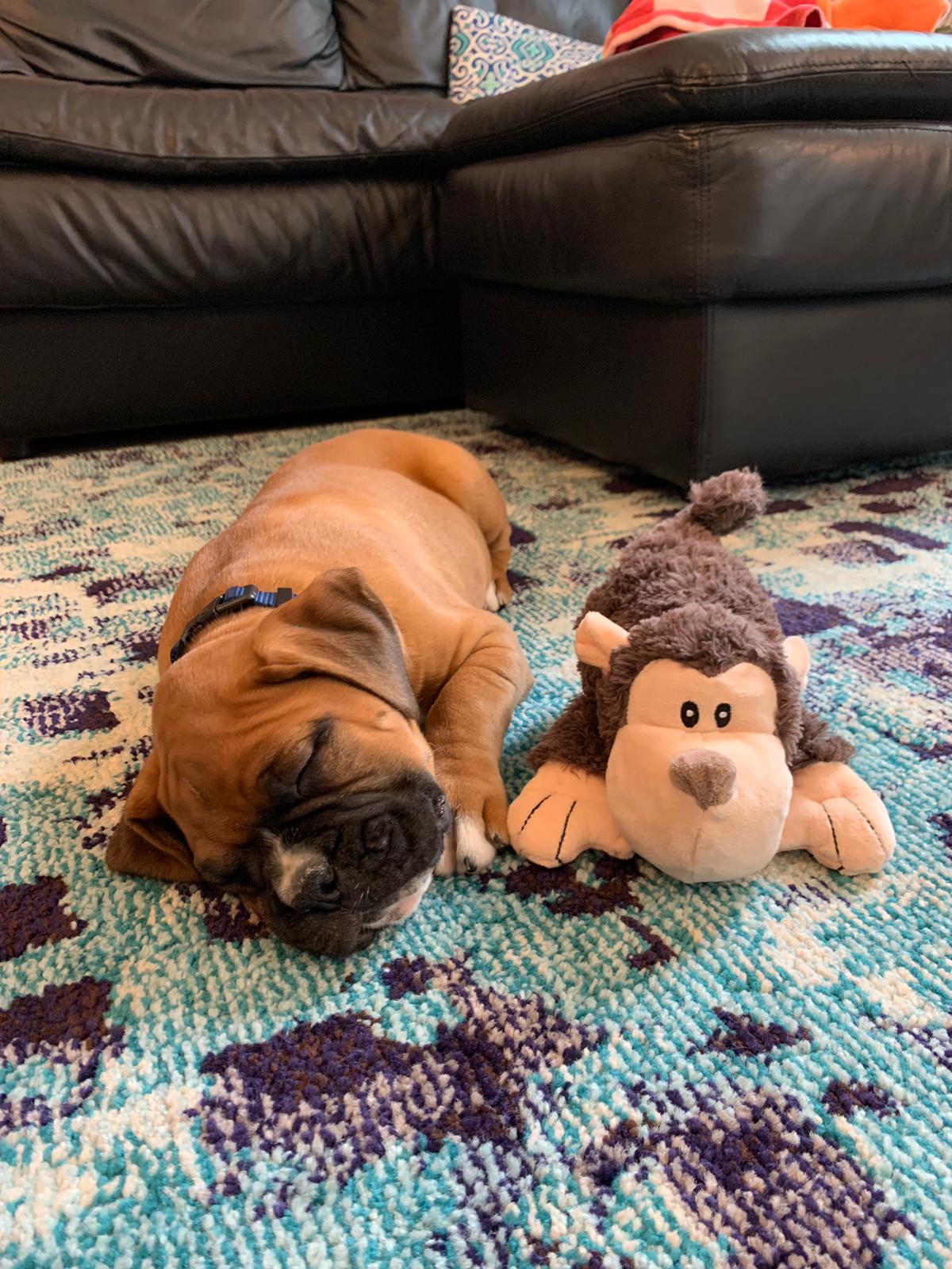 He sure is a sleepy guy | Scrolller