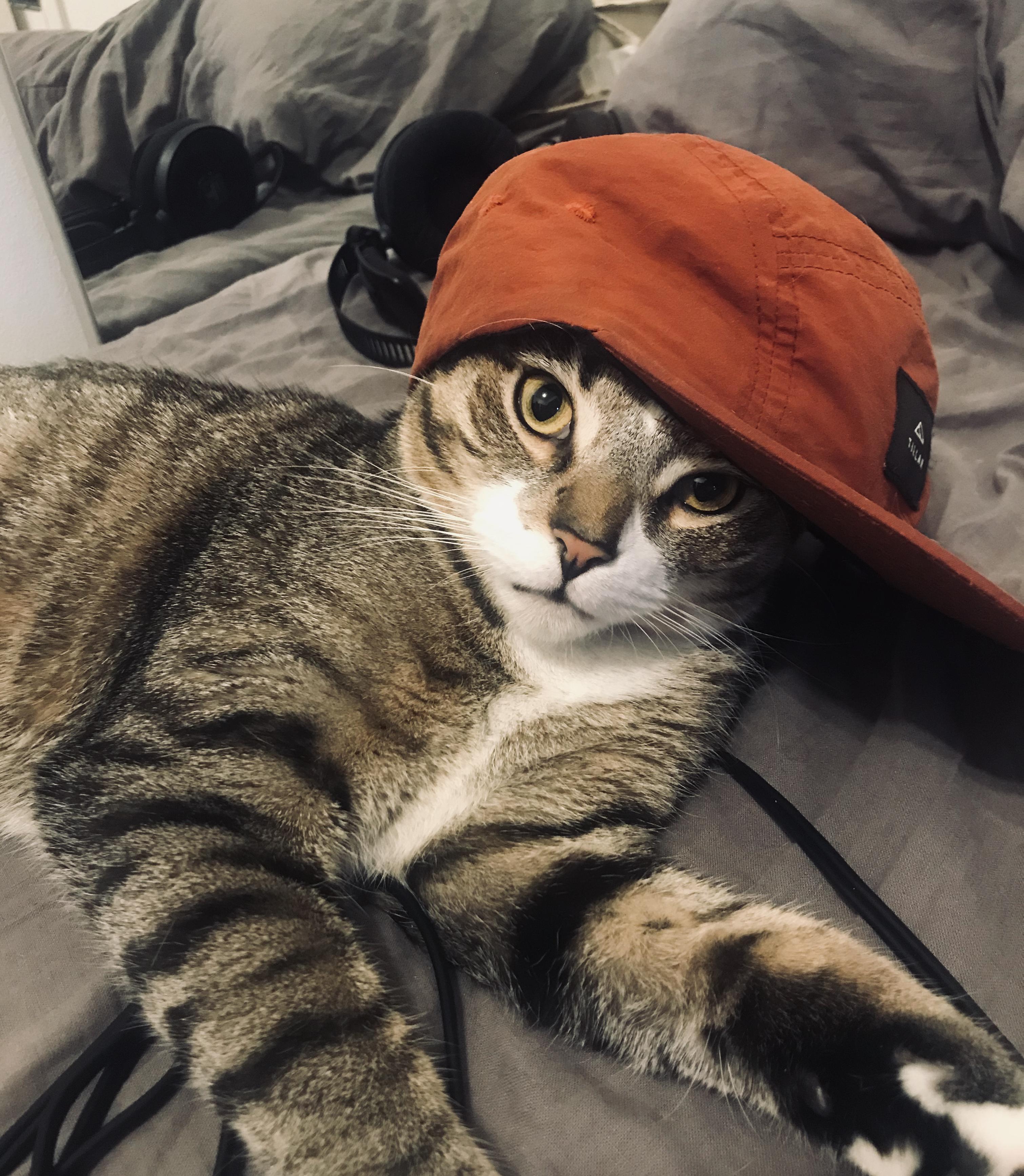 🎶He was a skater boy 🎶 | Scrolller