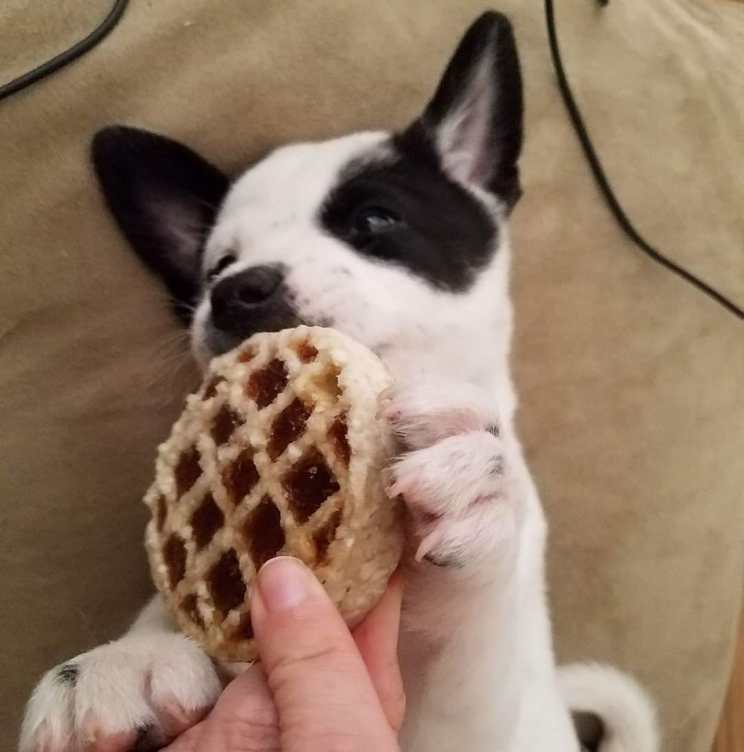 He was SO tiny!!! | Scrolller