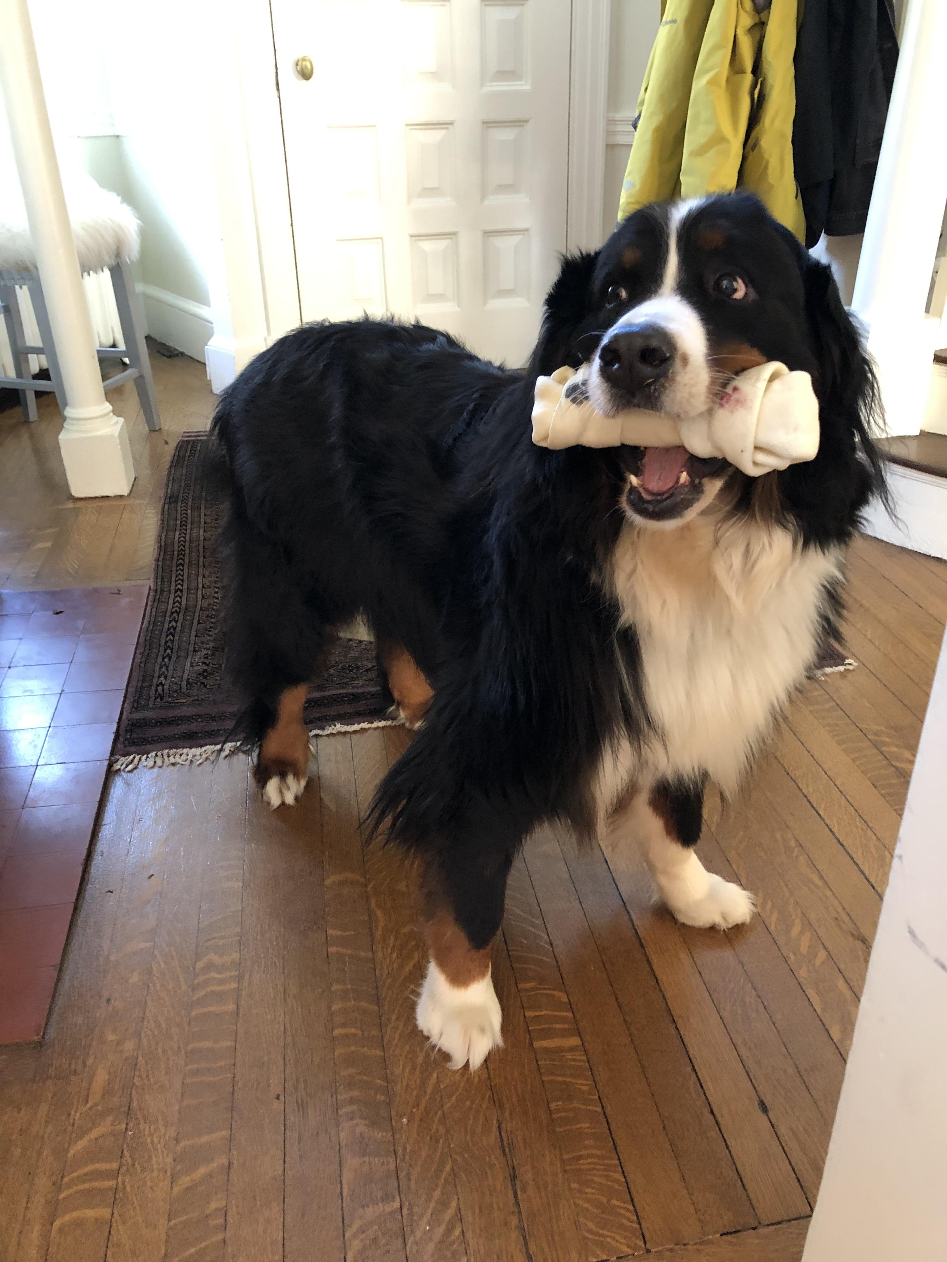 He was very happy with his Christmas present. | Scrolller