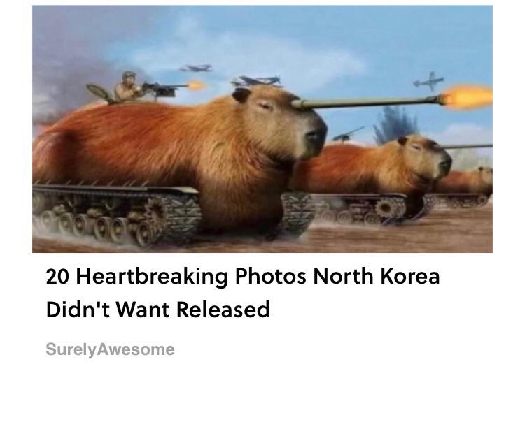 Heartbreaking | Scrolller