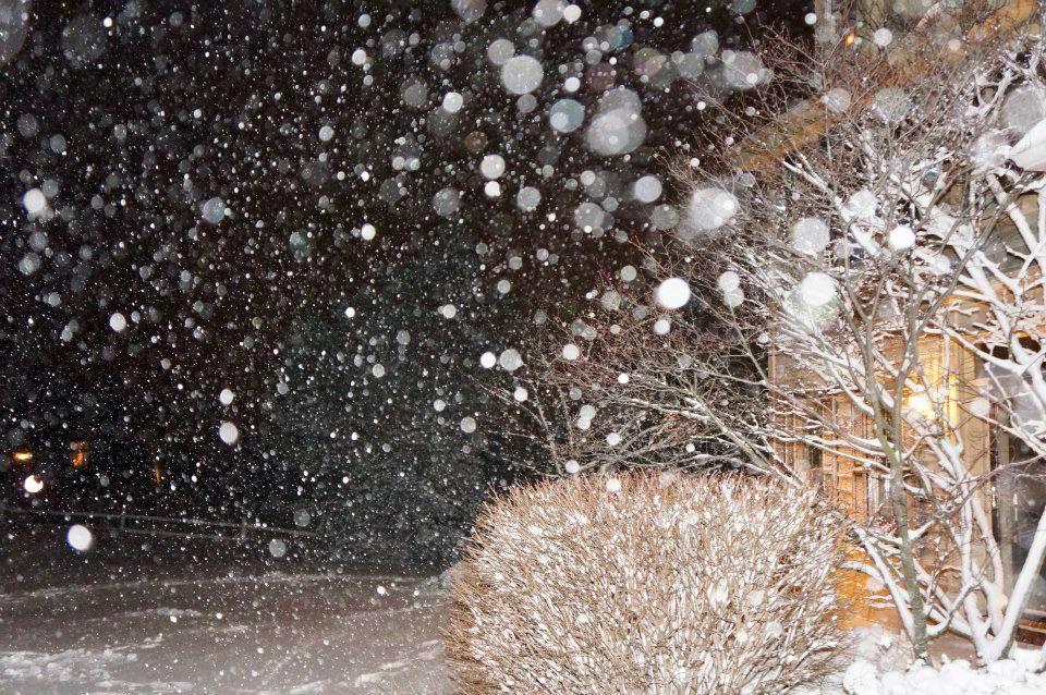 Heavy snowfall at night | Scrolller