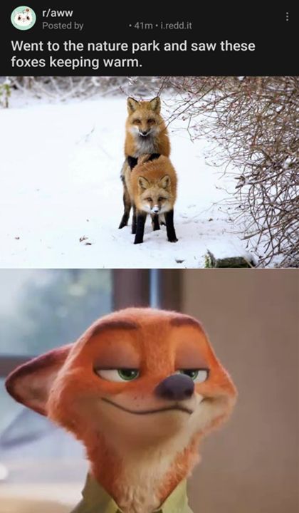 hehehehe w a r m t h | Scrolller