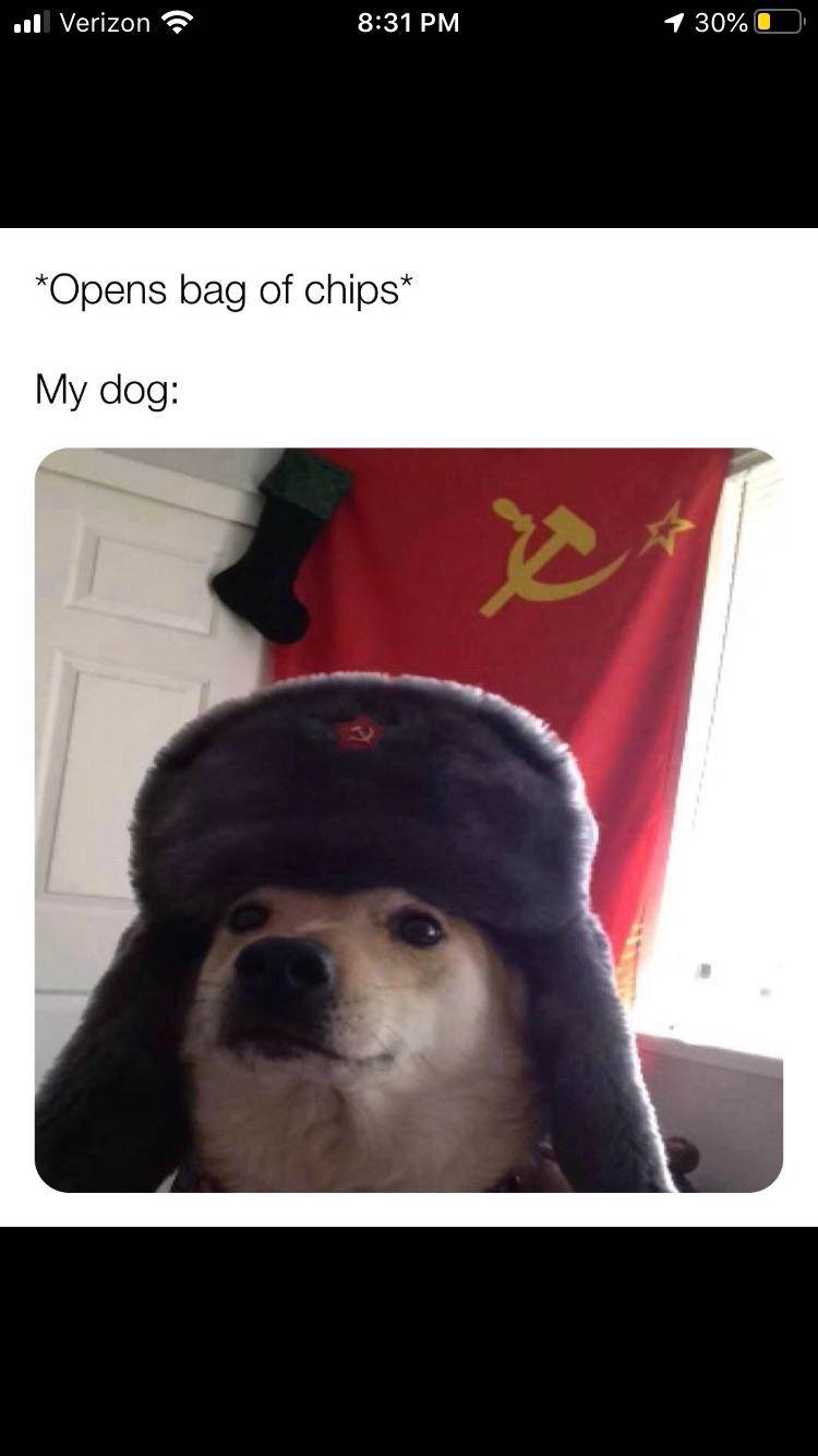 Hello comrade | Scrolller