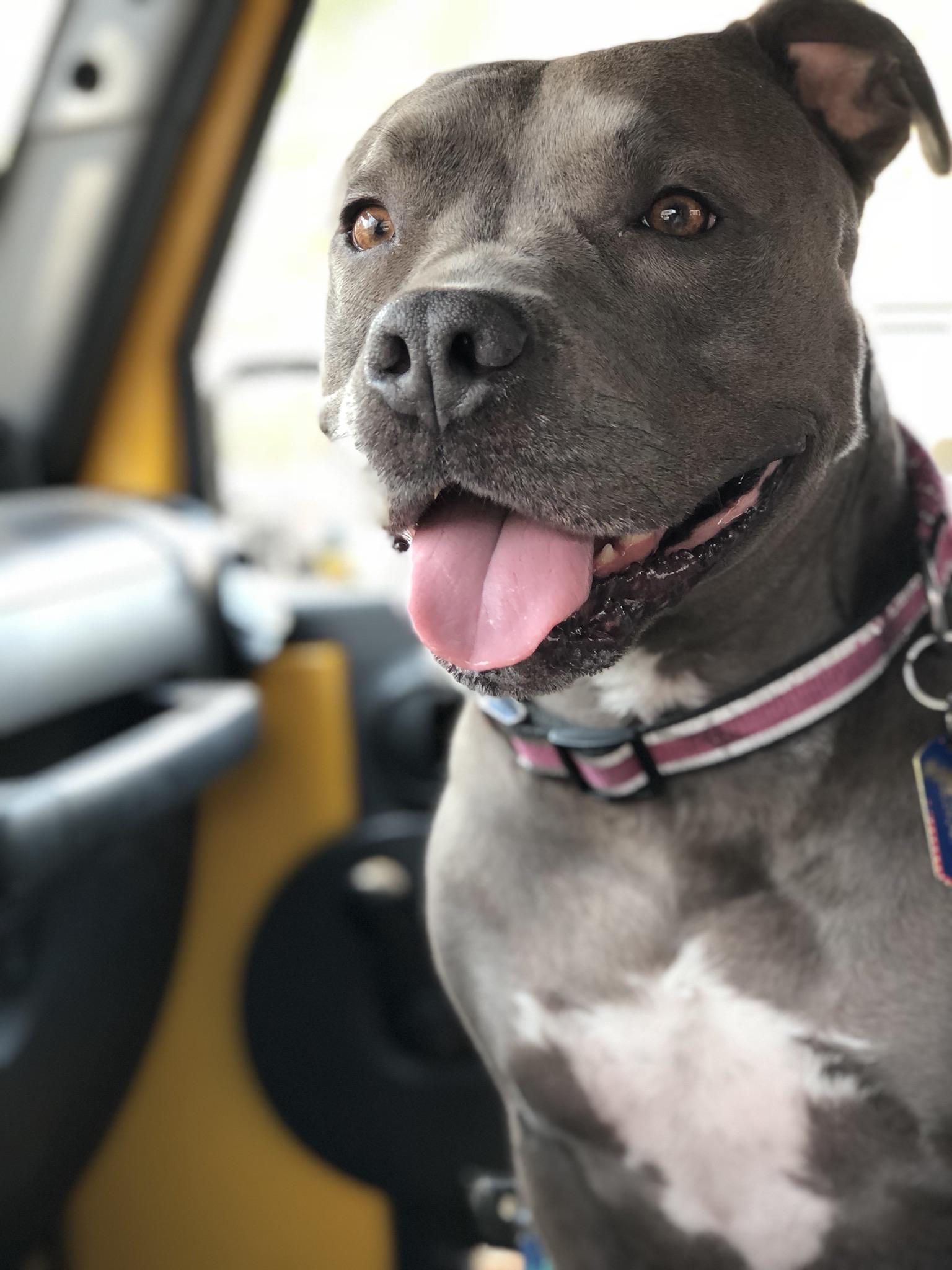 Hello Everyone! My name is Dyna! ️ | Scrolller