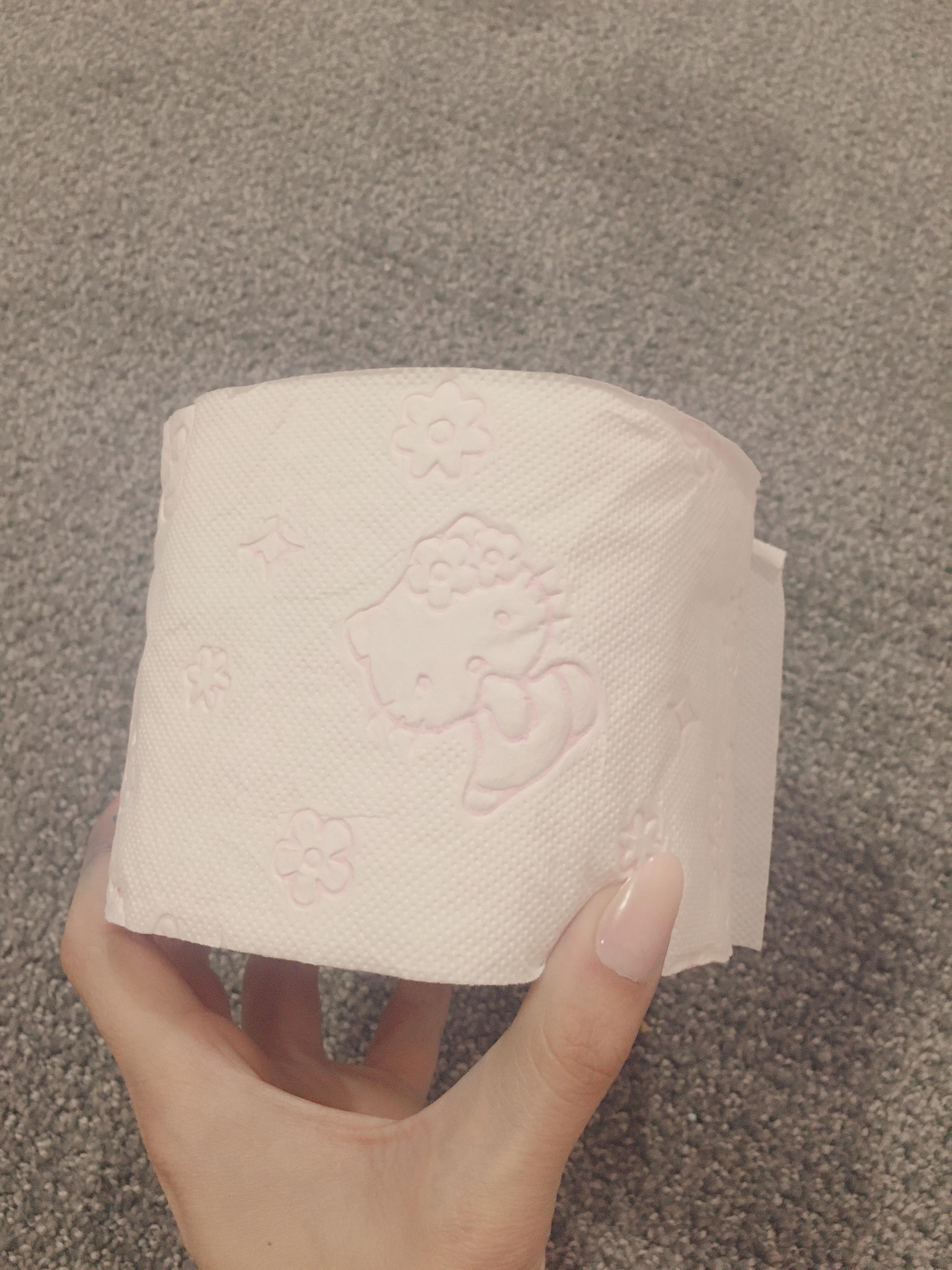 Hello kitty toilet paper! (For potty training) | Scrolller