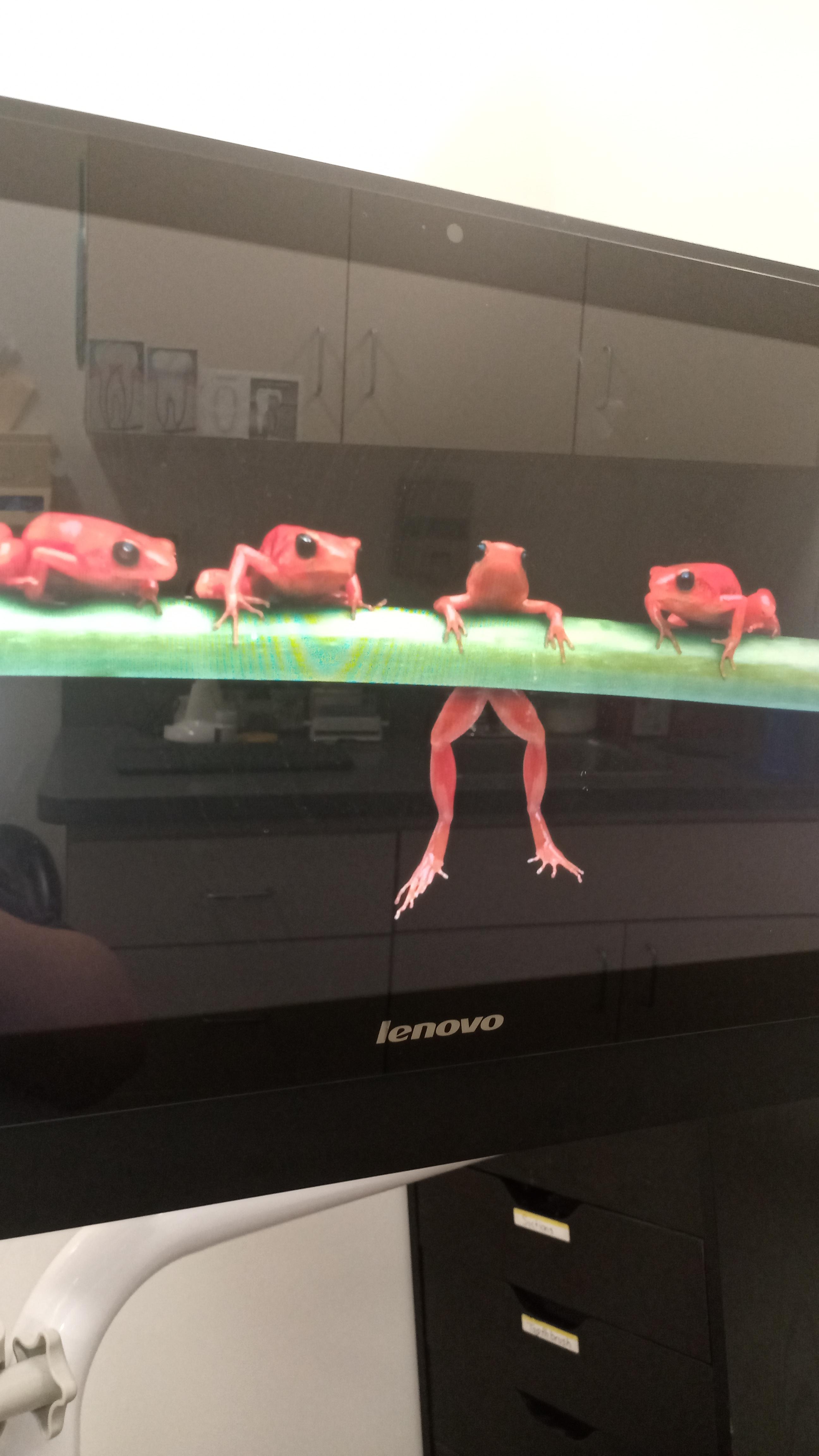 Help him | Scrolller