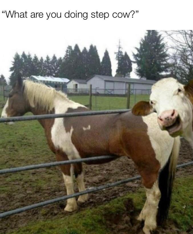 “Help I’m stuck” | Scrolller